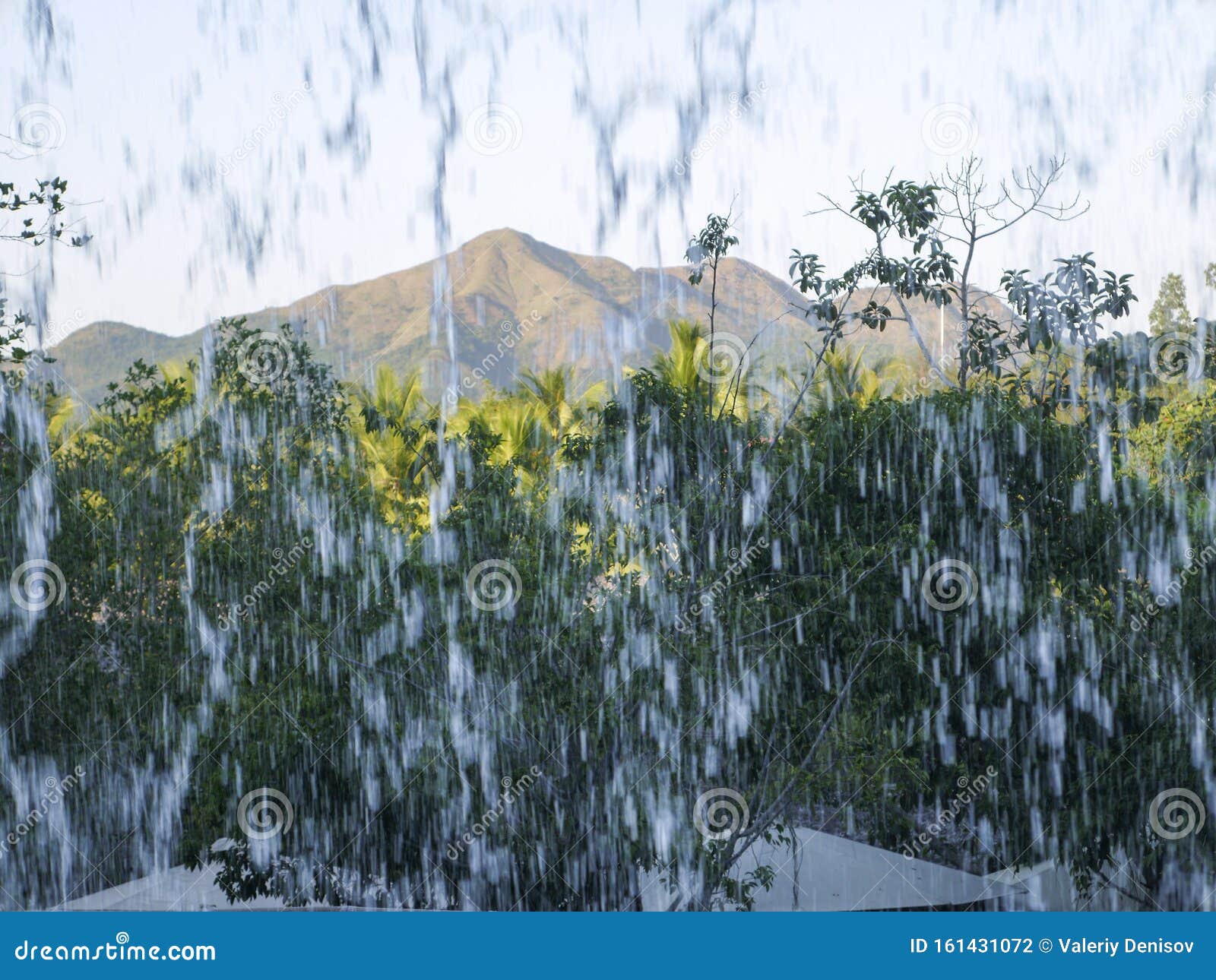 Tropical rain stock photo. Image of rain, blue, nature - 161431072