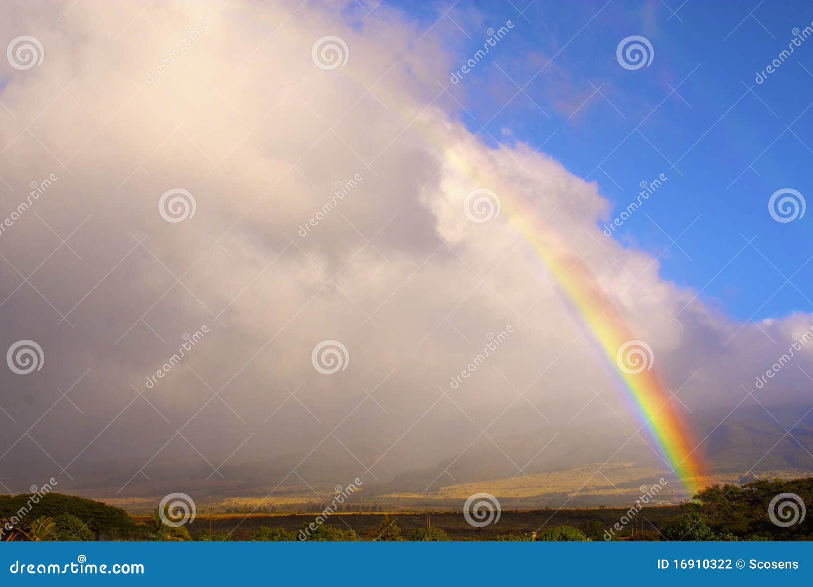 Tropical Rainbow stock photo. Image of weather, landscape - 16910322