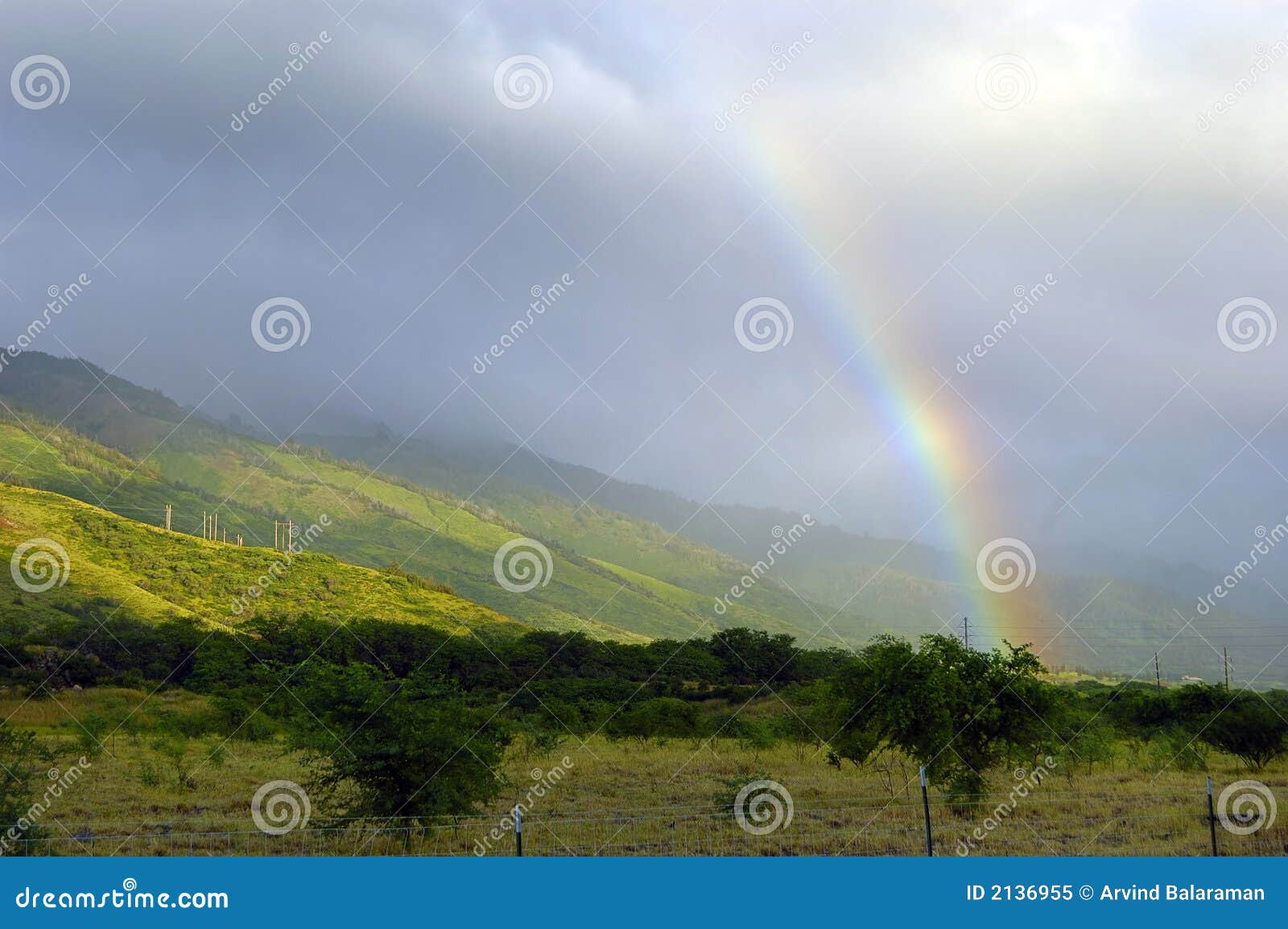 Tropical Rainbow stock image. Image of blue, plains, meadow - 2136955