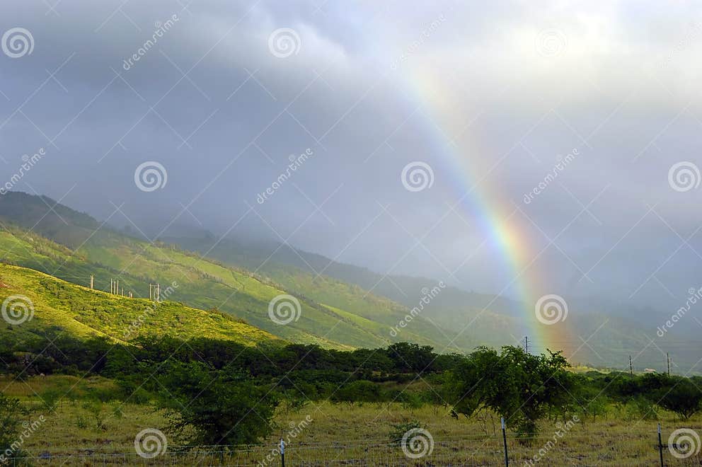 Tropical Rainbow stock image. Image of blue, plains, meadow - 2136955