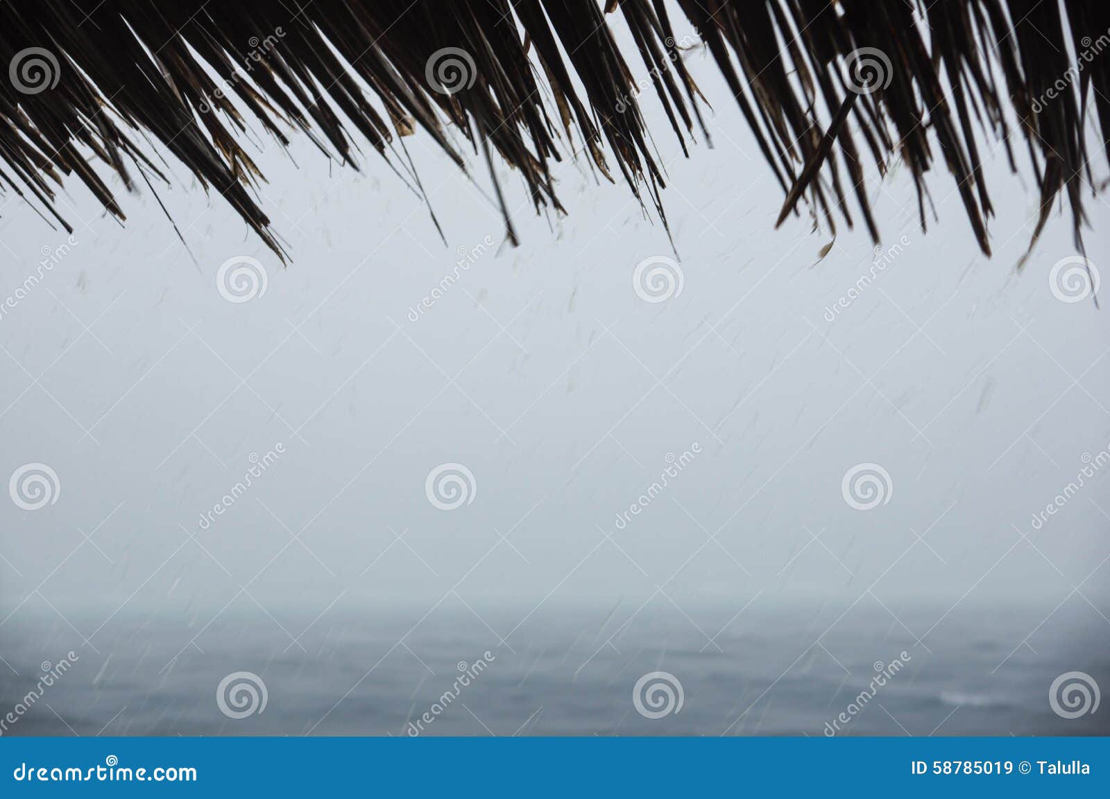 Tropical Rainfall Over the Indian Ocean Stock Image - Image of clouds ...