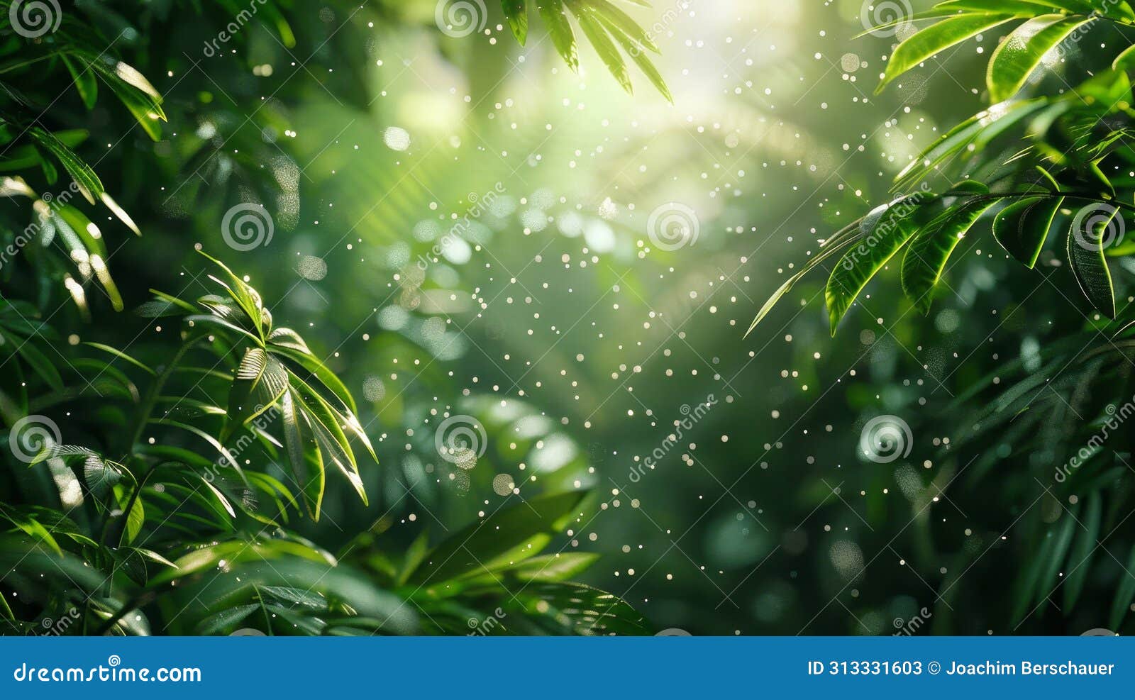 Tropical Rainforest Canopy Green Foliage, Vines, Light, Shadow ...