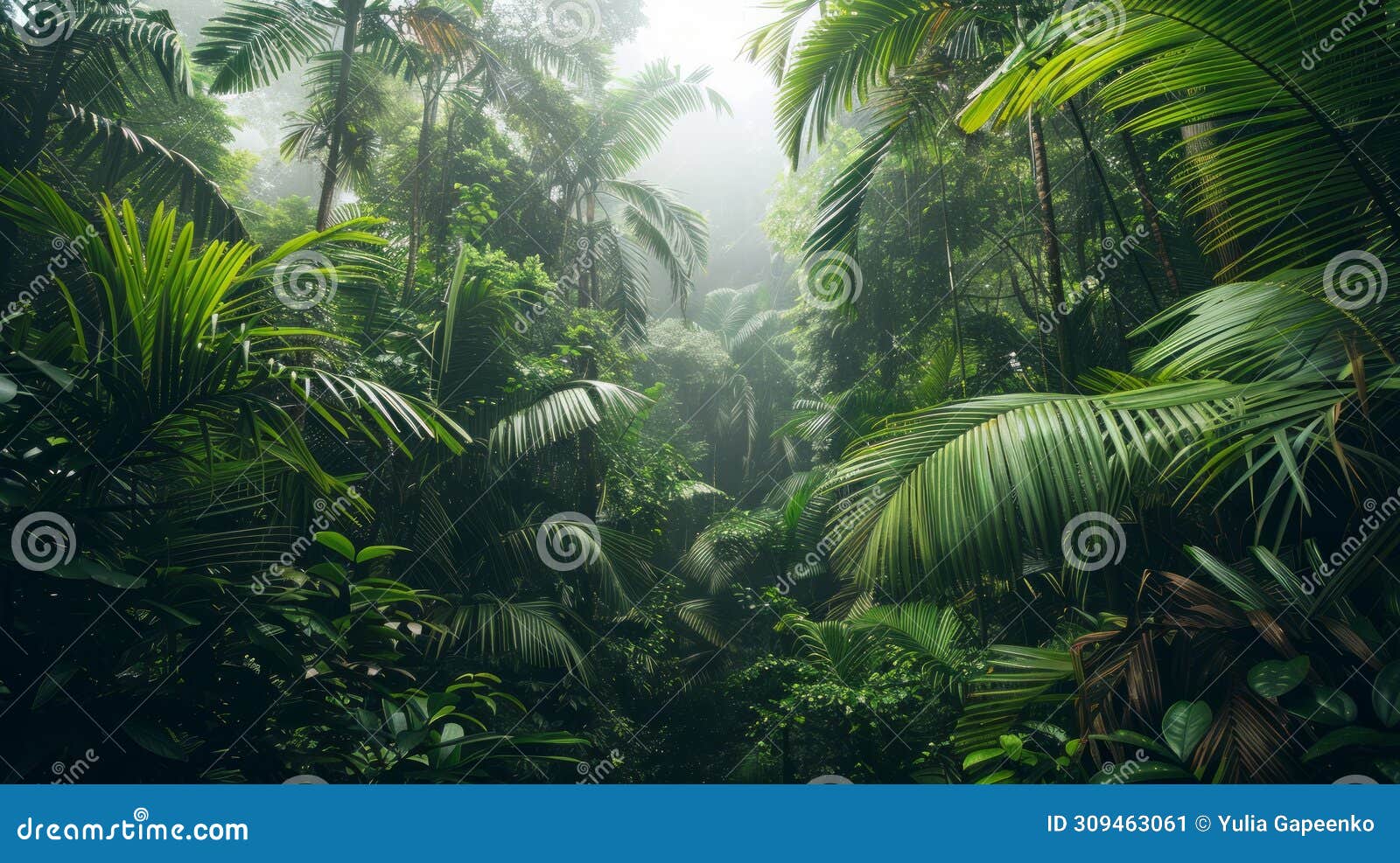 A Tropical Rainforest, Characterized by Towering Trees and Dense ...