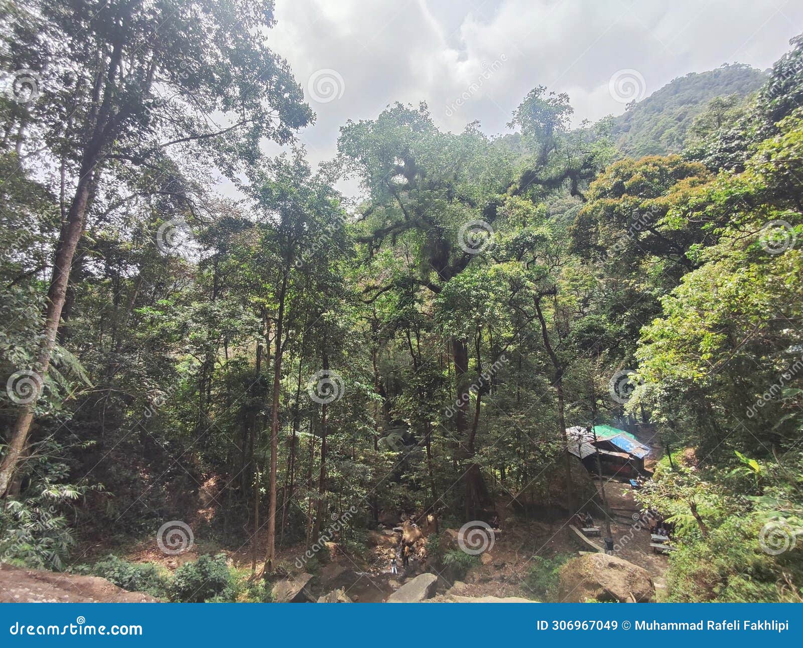 Tropical Rainforest in Kediri Regency, East Java, Indonesia Stock Image ...