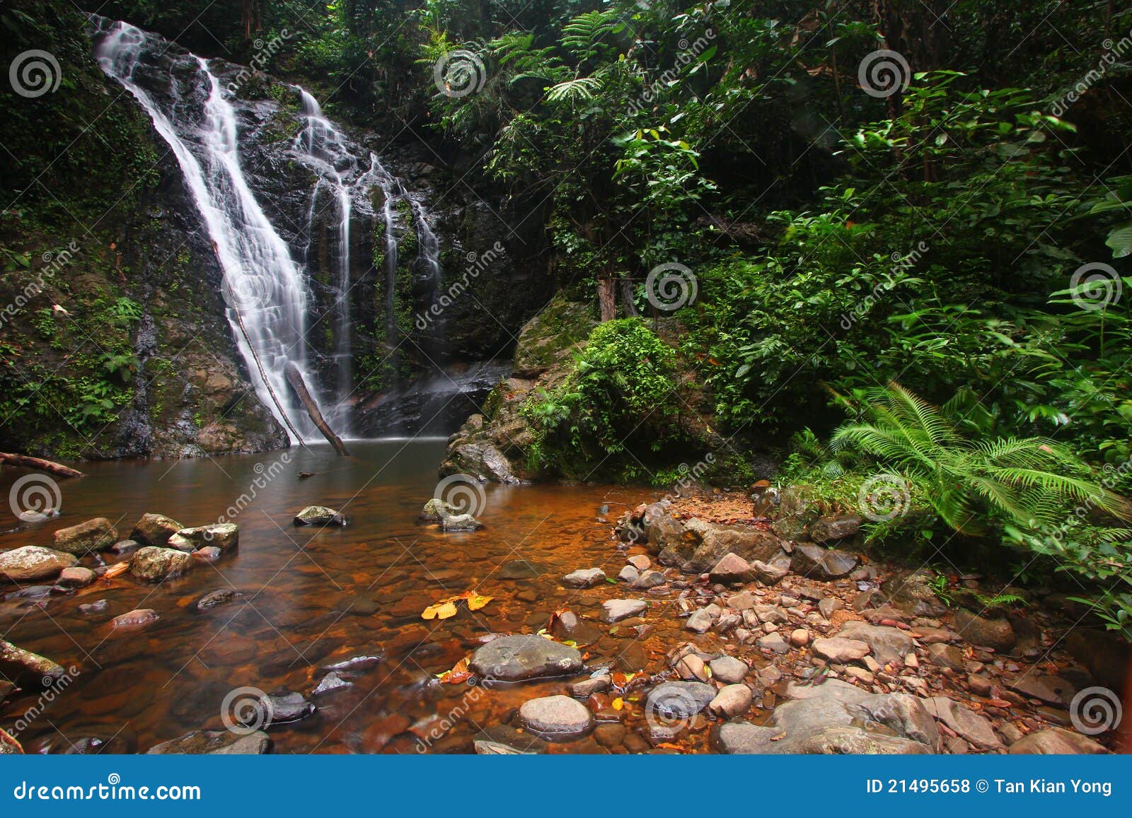 Tropical Rainforest Waterfall Stock Photo - Image of asia, forest: 21495658