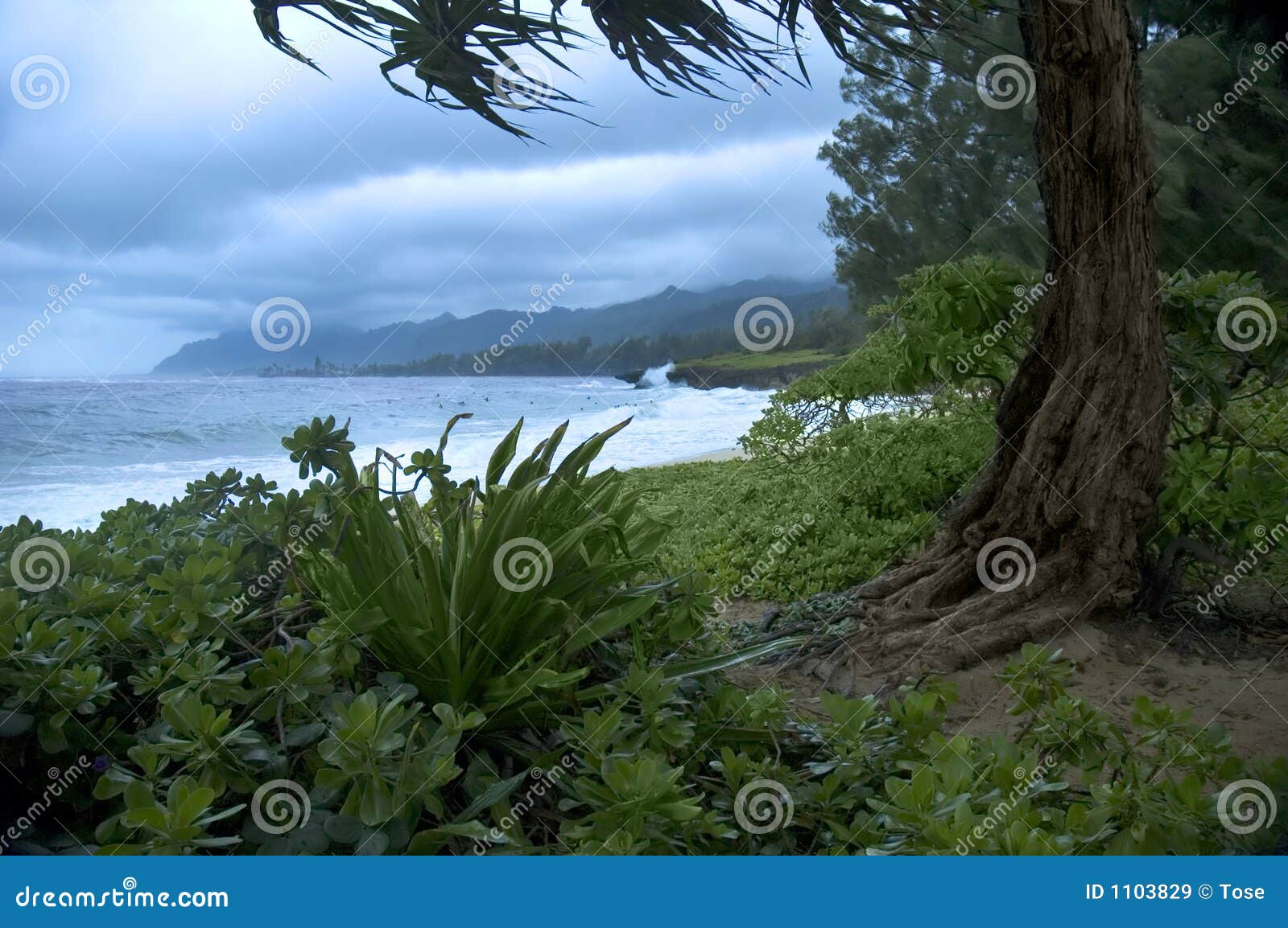 Tropical Rainstorm Approaching the Beach Stock Image - Image of sandy ...
