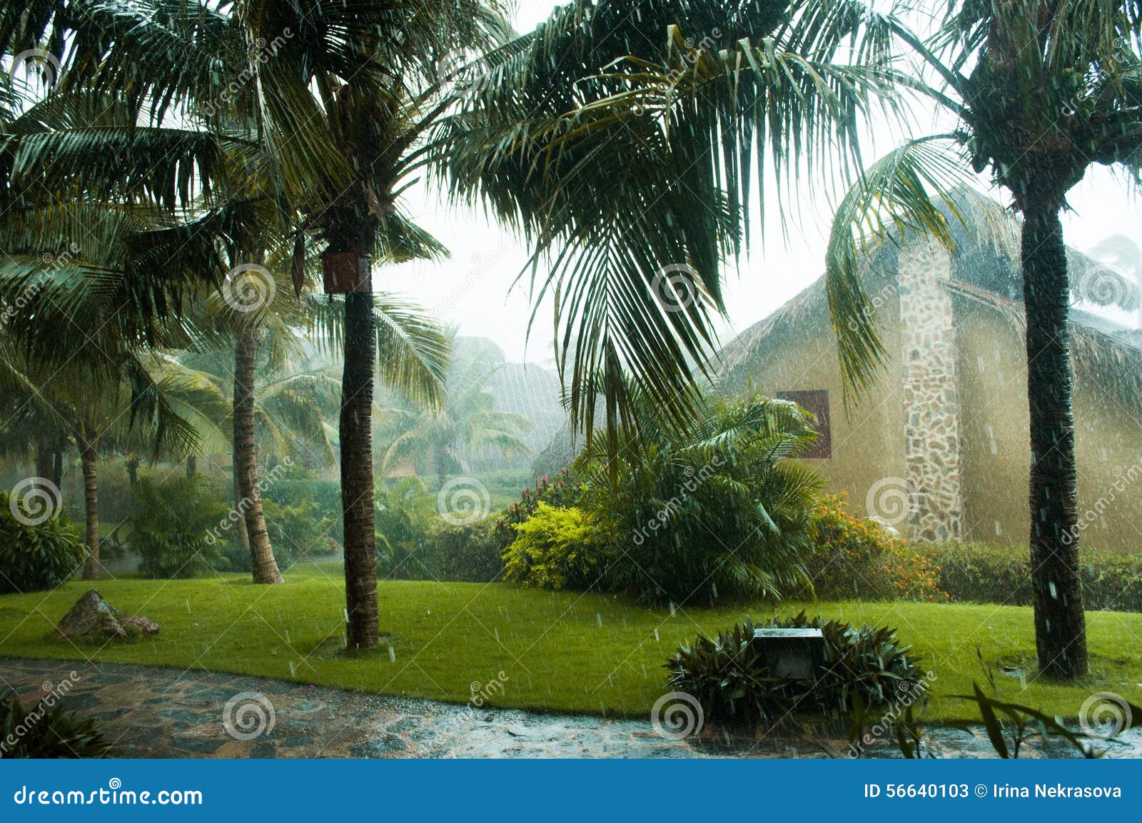 Tropical rainy weather stock image. Image of nature, scenics - 56640103