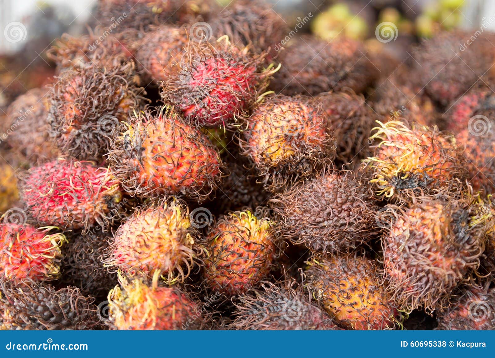Tropical Rambutan Fruit stock photo. Image of food, fresh - 60695338