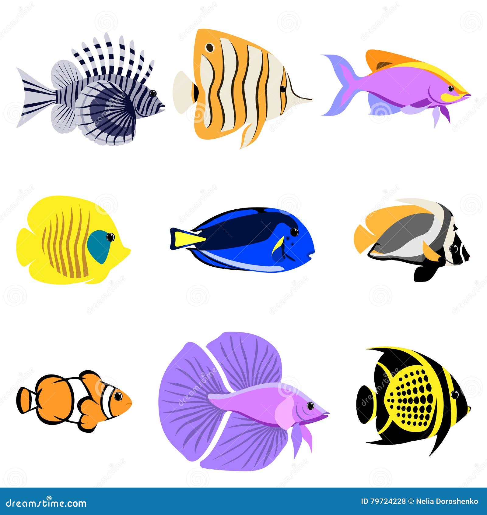 Tropical Reef Fish Collection Stock Vector - Illustration of angel ...