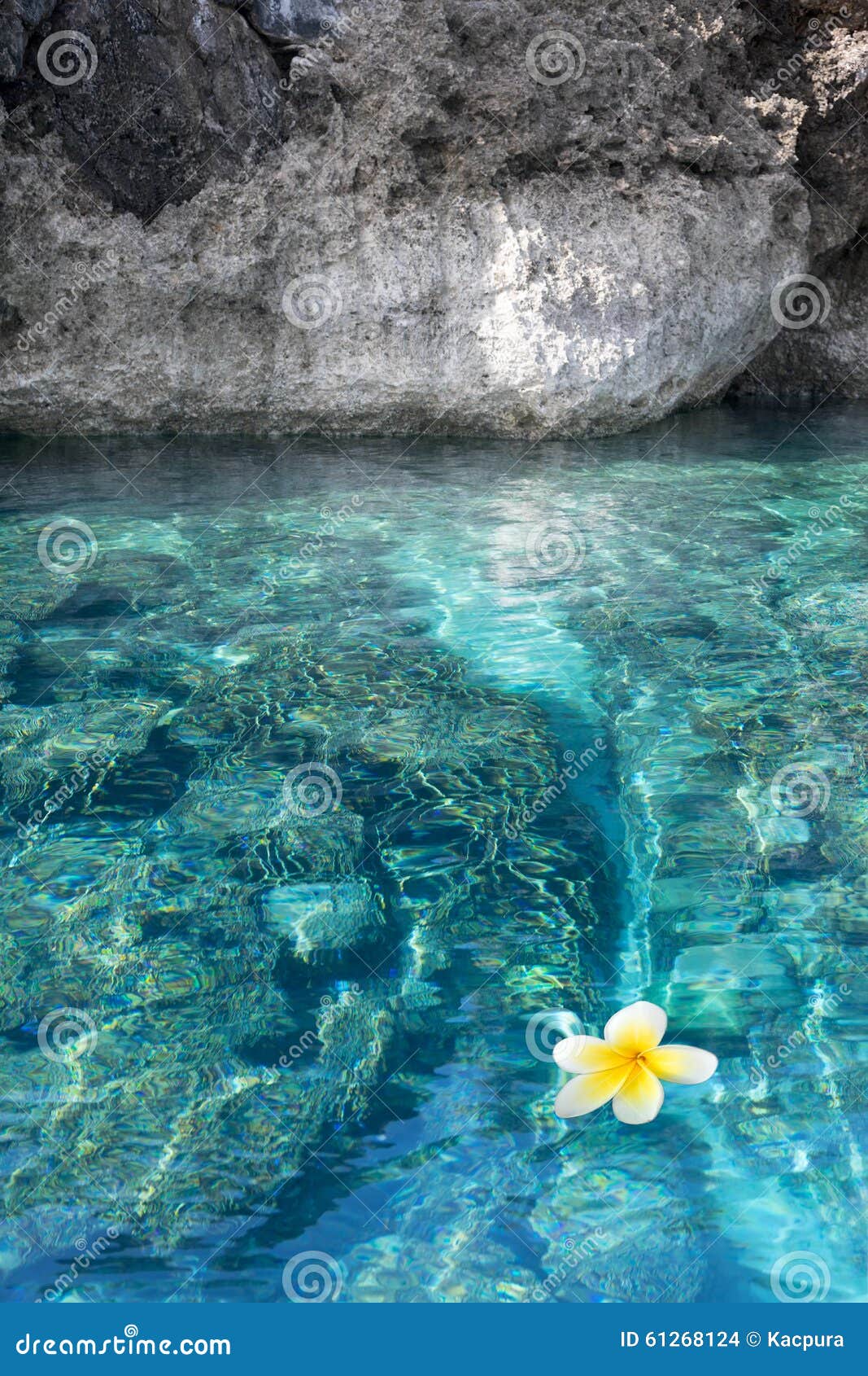 Tropical Reef and Rocky Cliff Stock Photo - Image of scene, flower ...