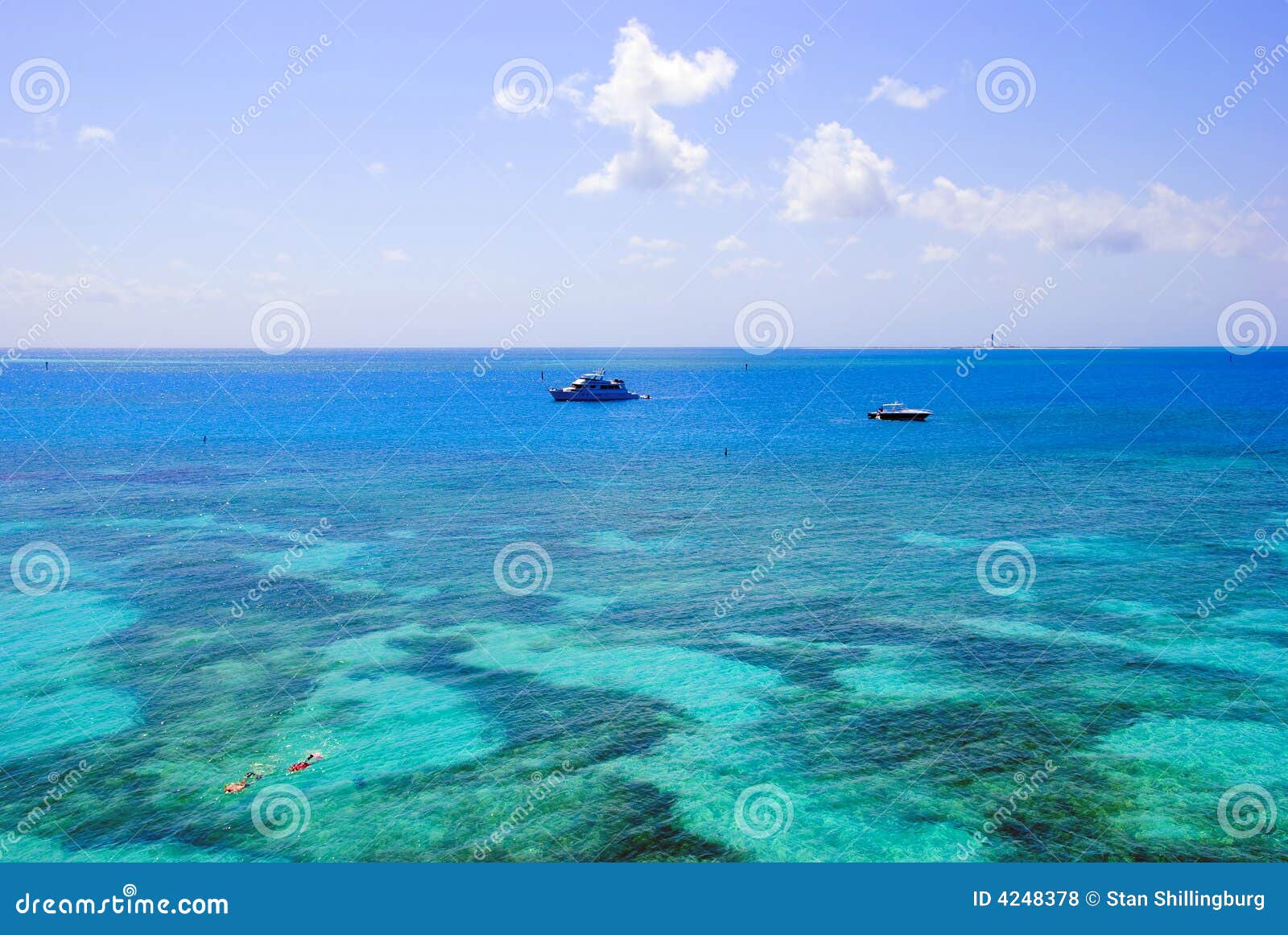 Tropical Reef and Snorkeling Stock Photo - Image of reef, foreground ...