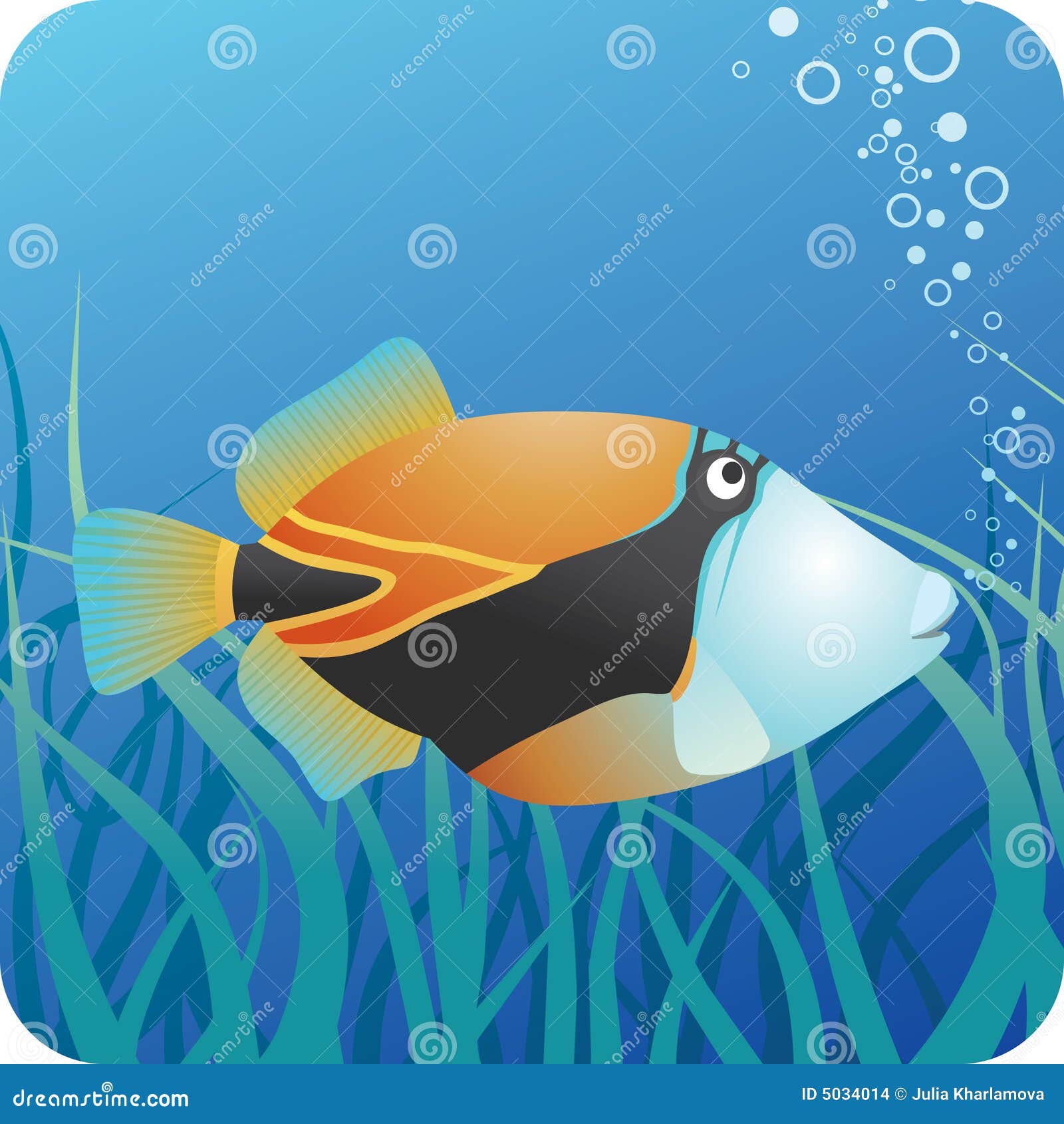 Tropical Reef Triggerfish Under Water Stock Vector - Illustration of ...