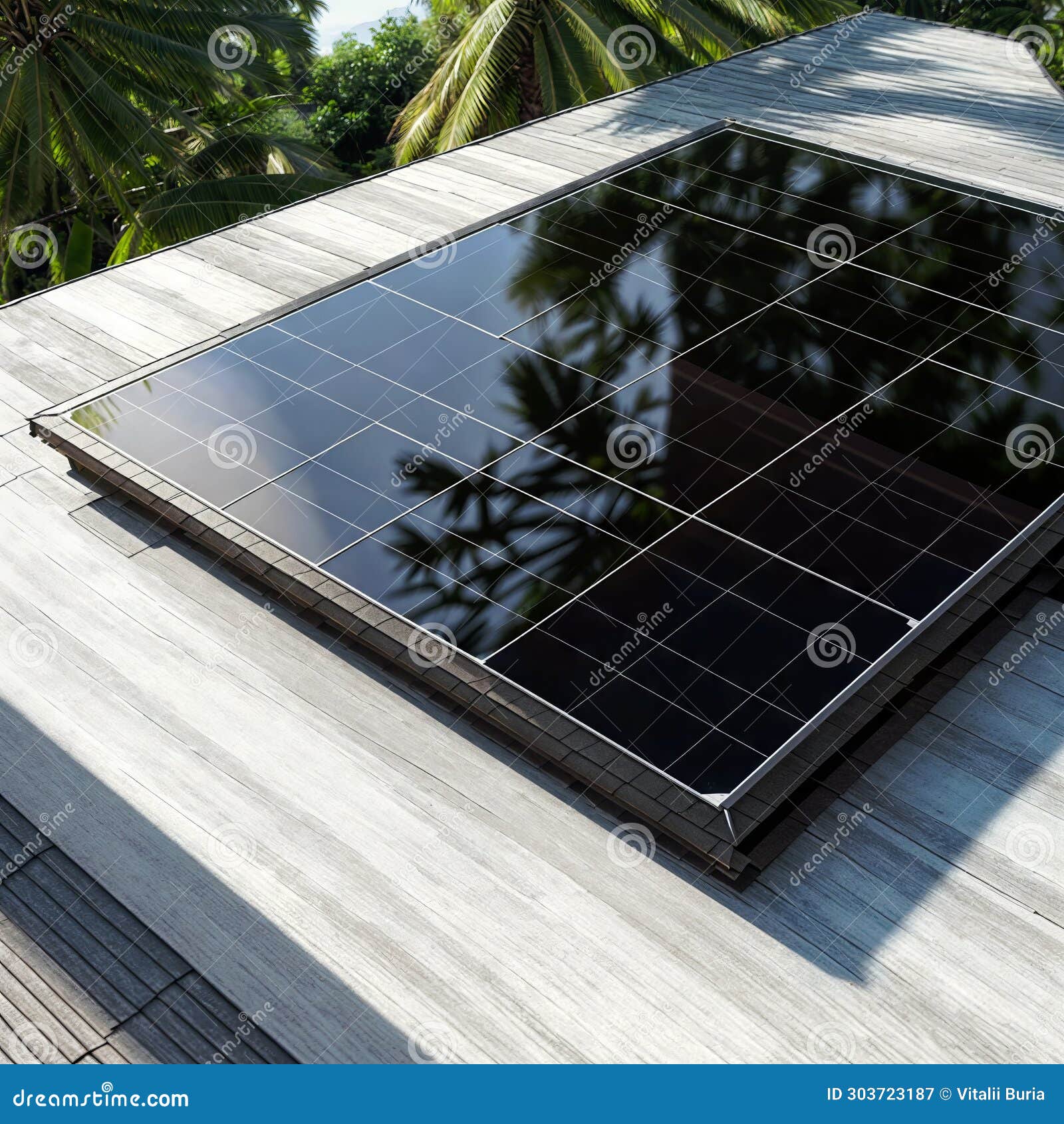 Tropical Reflection: Solar Panel and Palm Tree Harmony, Generative Ai ...