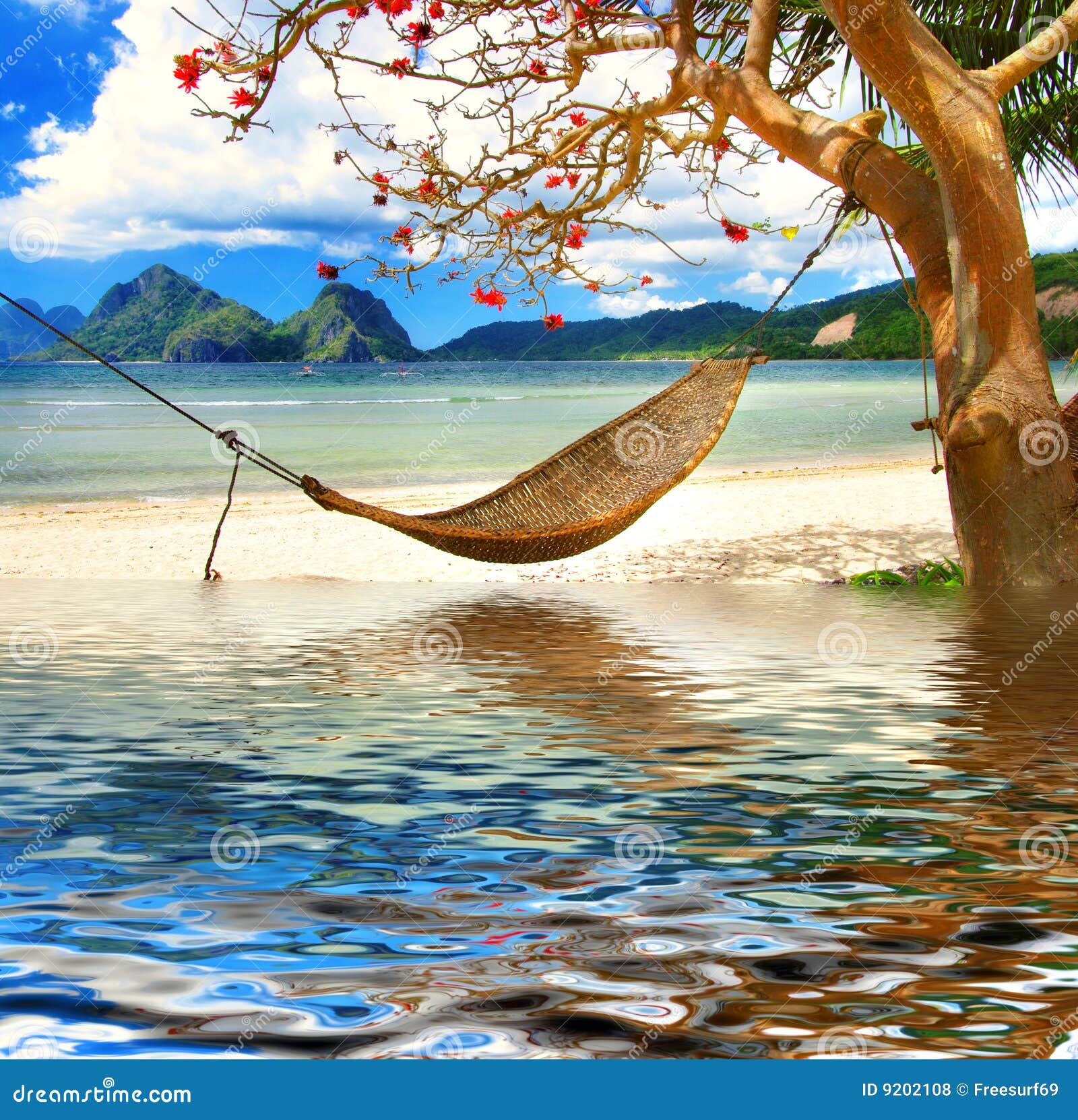 Tropical relax stock photo. Image of calm, asia, nido - 9202108