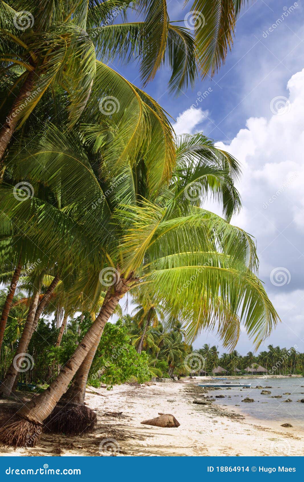 Tropical remote beach stock photo. Image of shore, coast - 18864914