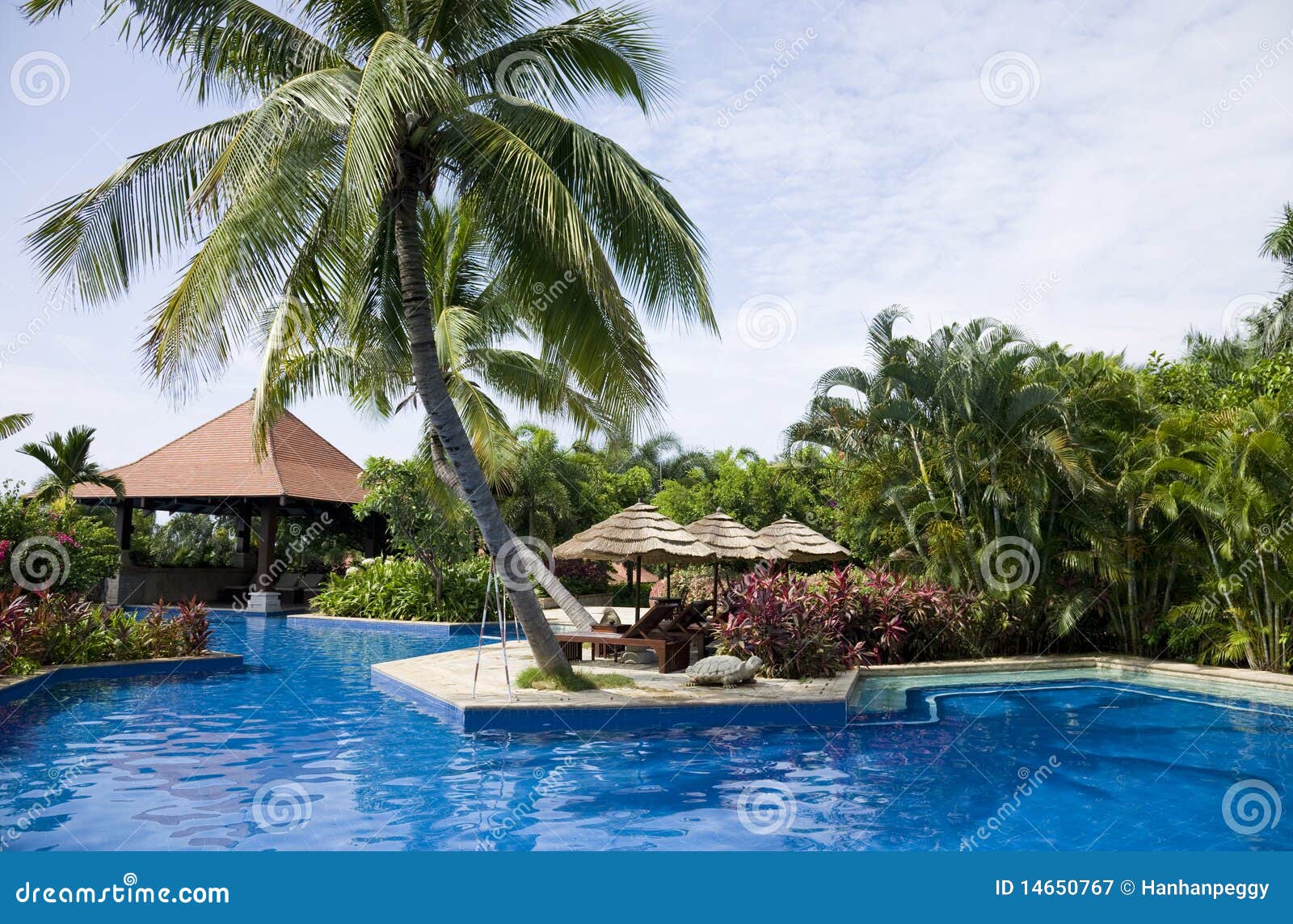 Tropical resort stock image. Image of lush, backyard - 14650767