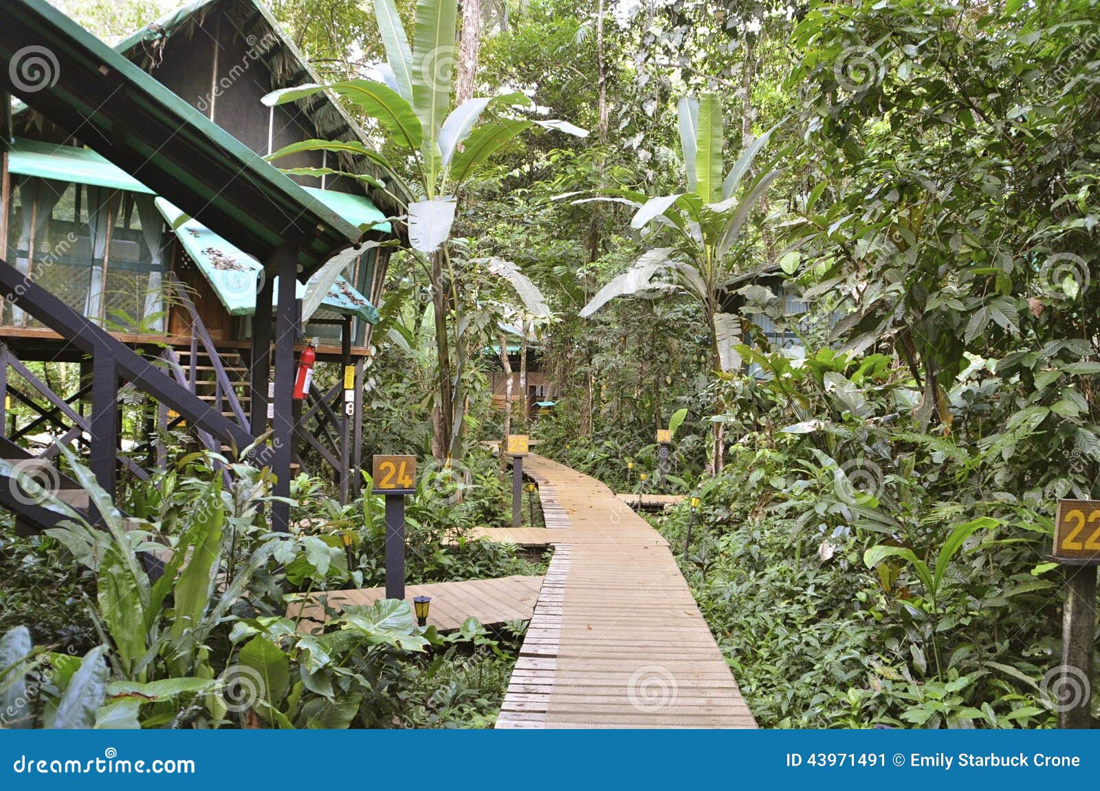 Tropical Resort in Costa Rica Stock Image - Image of ground, rainforest ...