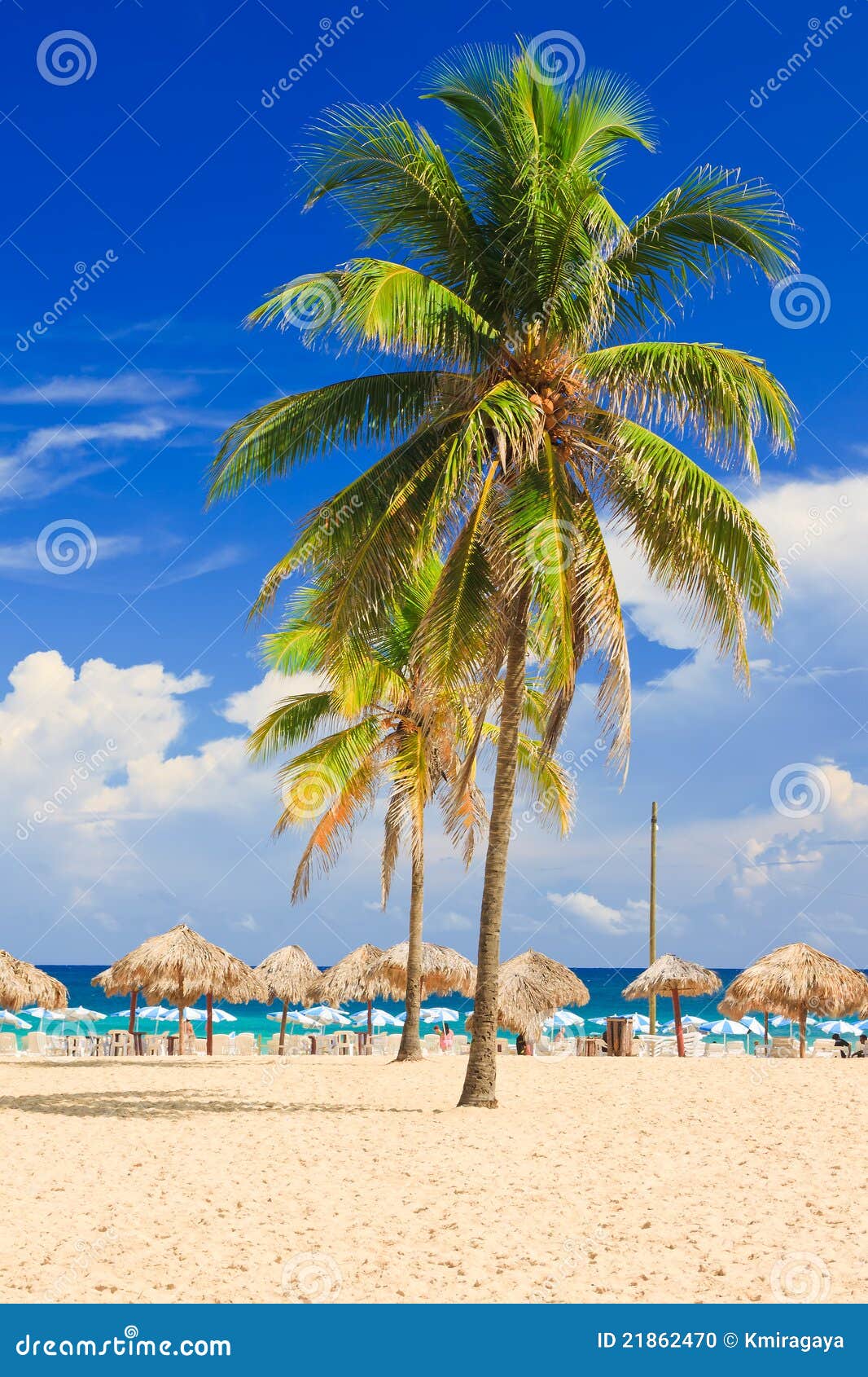 Tropical Resort at a Cuban Beach Stock Photo - Image of american ...