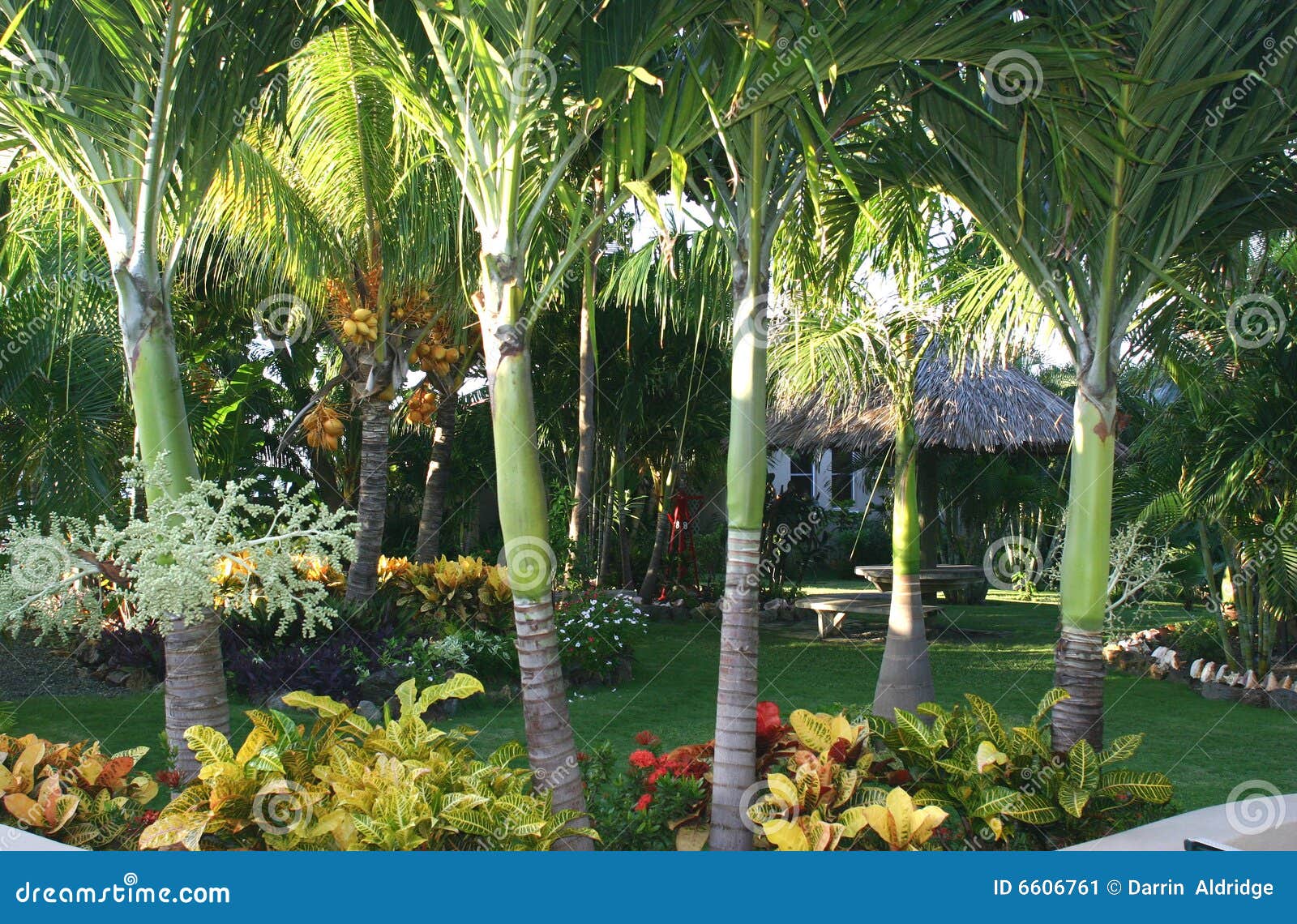 Tropical resort gardens stock image. Image of building - 6606761