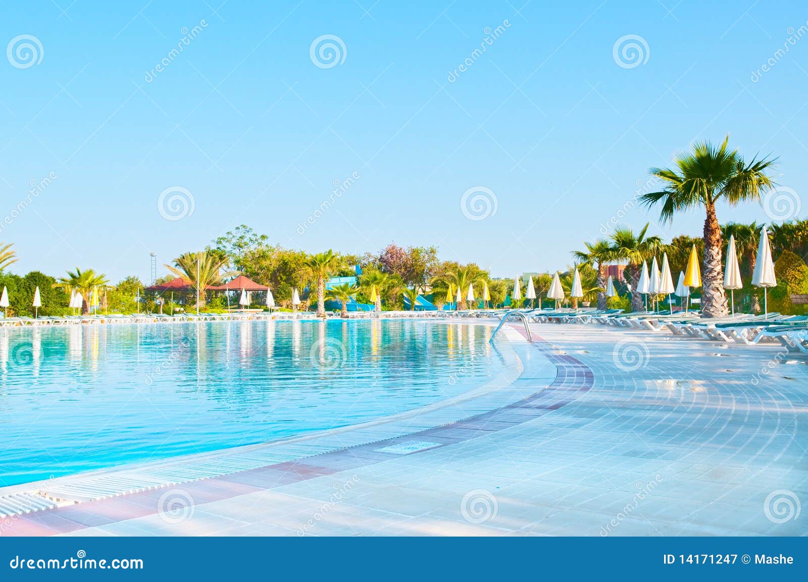 View Luxury Swimming Pool Bar Background Tropical Garden Stock Photos ...