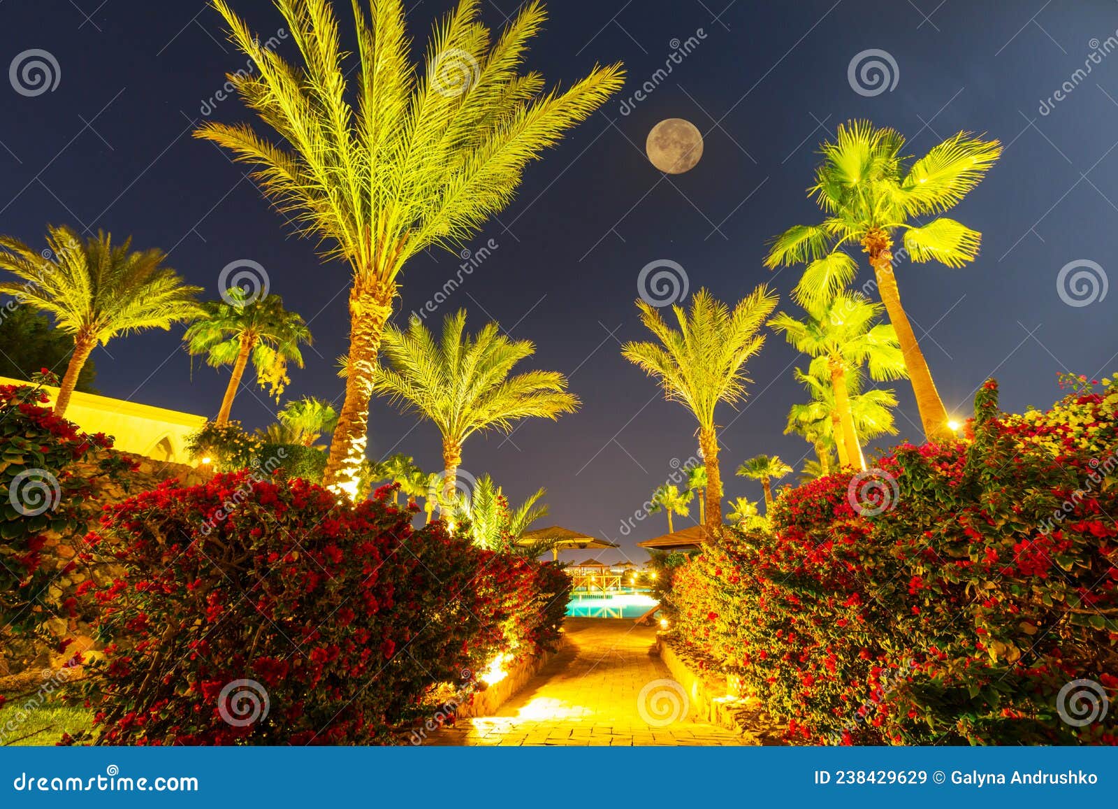Tropical resort at night stock image. Image of flowers - 238429629