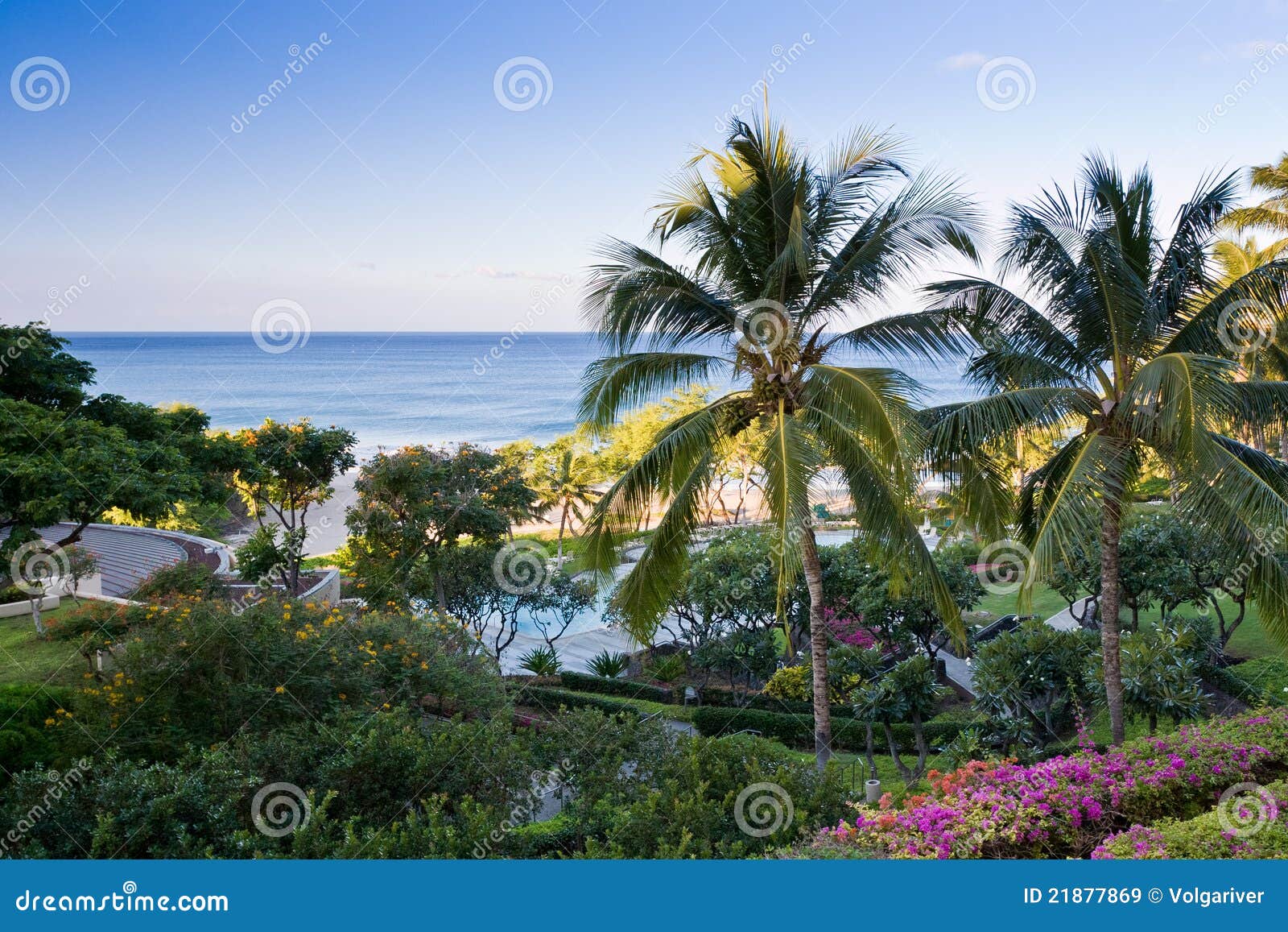 Tropical Resort with Ocean View Stock Image - Image of hawaii, coconut ...