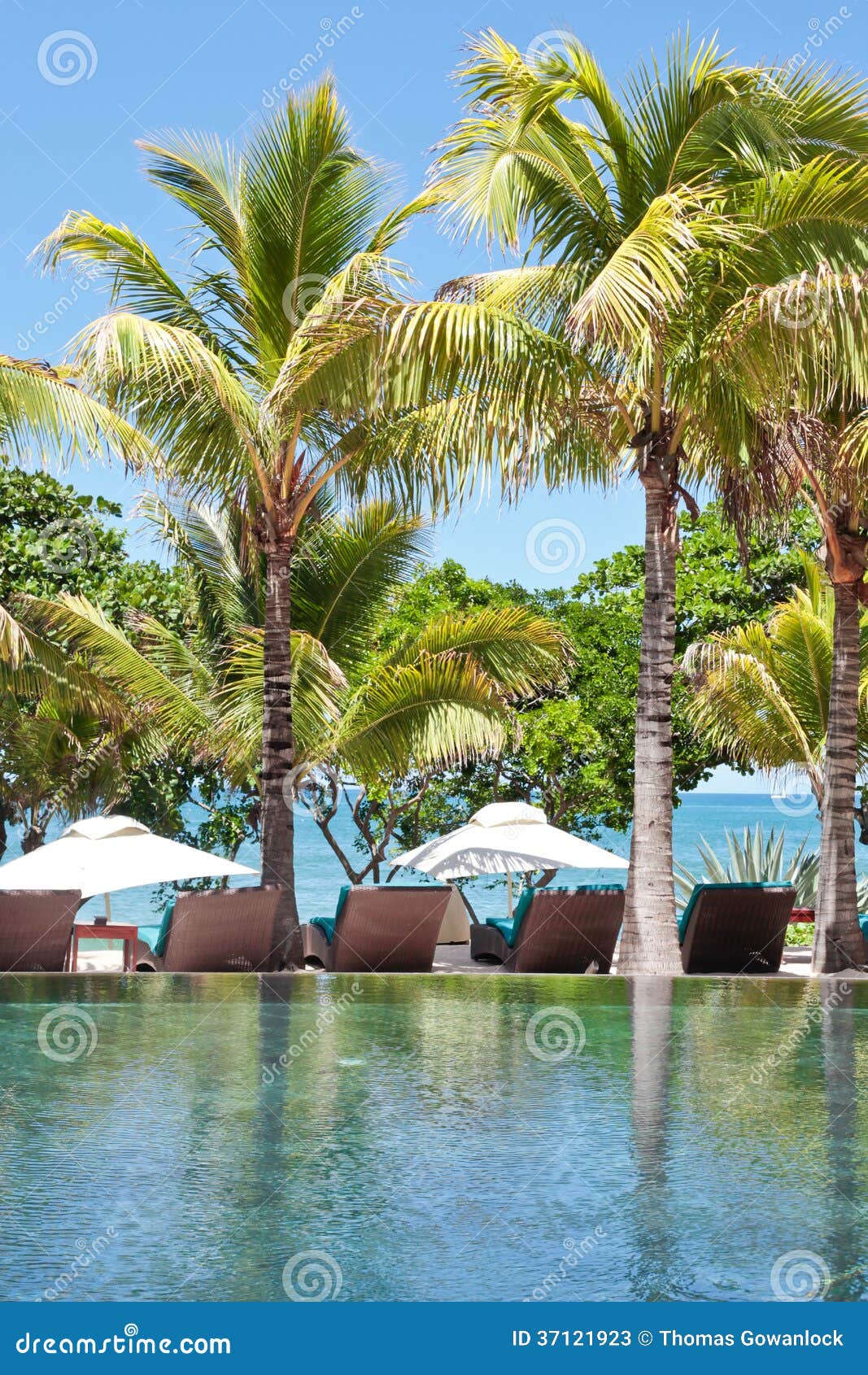Tropical resort stock image. Image of ocean, outdoors - 37121923