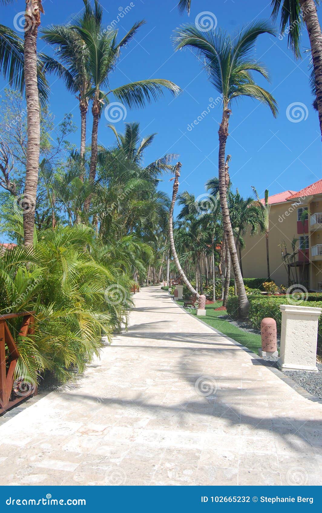 Tropical Resort Path stock photo. Image of holiday, vacation - 102665232