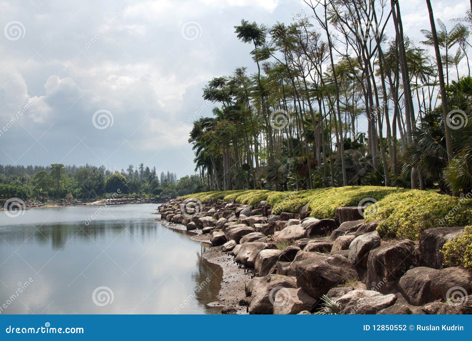 Tropical river stock photo. Image of color, scenic, foliage - 12850552