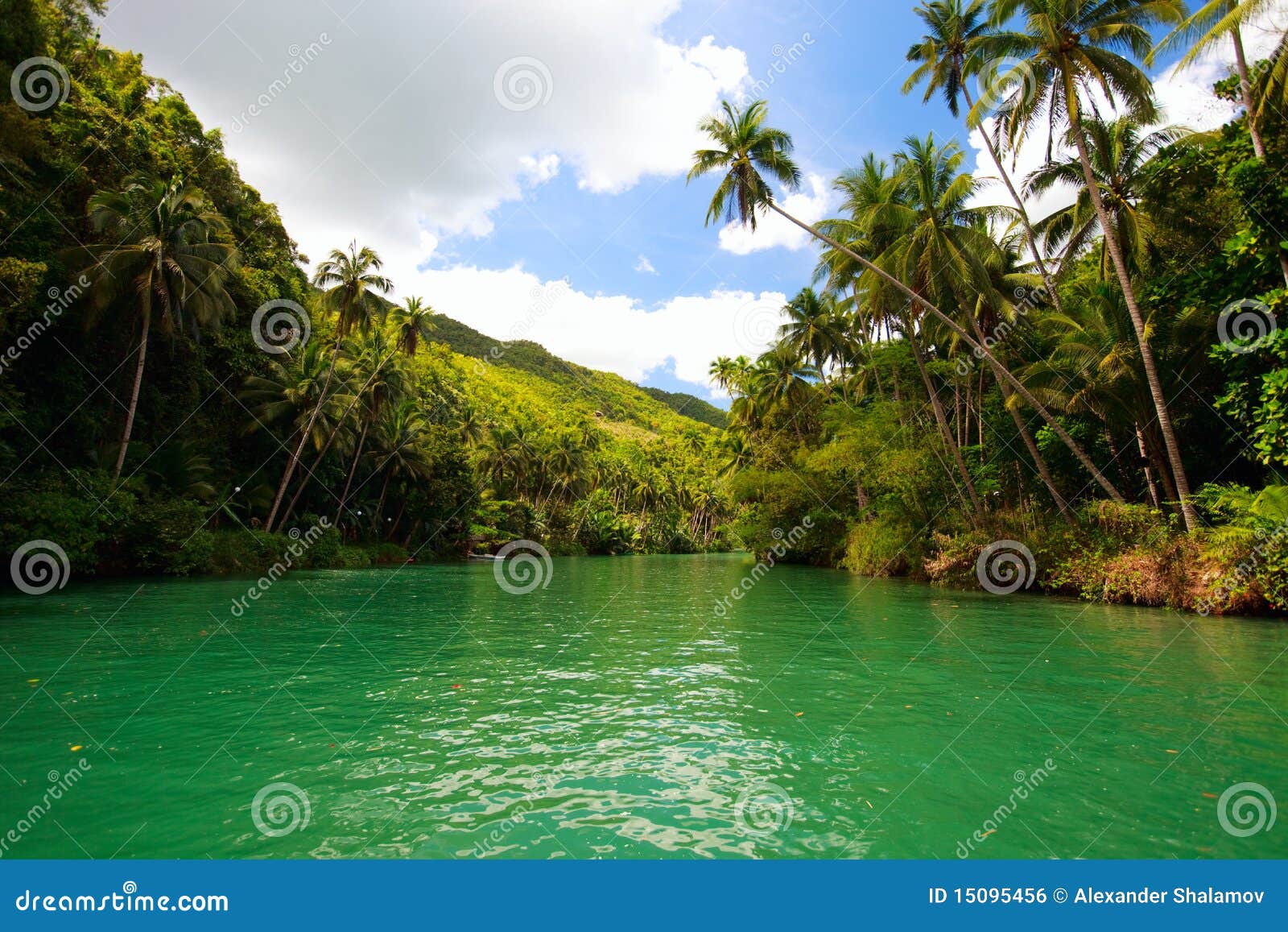 Tropical river stock photo. Image of rainforest, green - 15095456