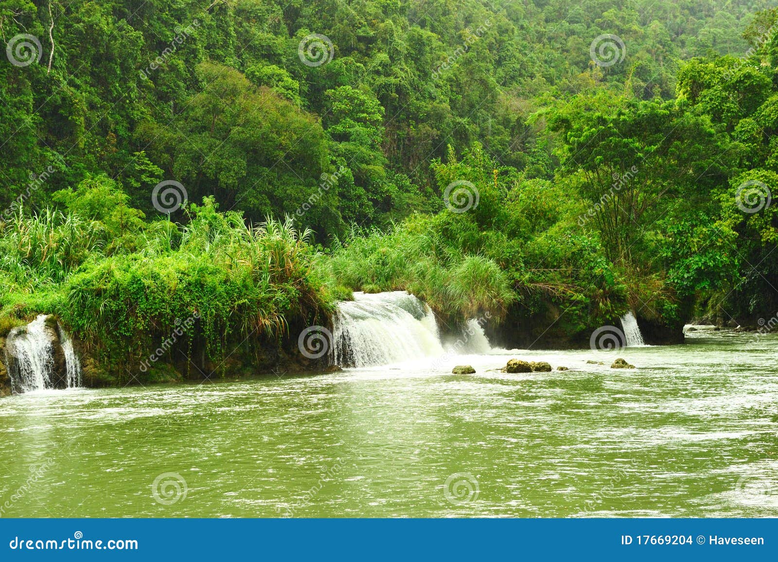 Tropical River stock photo. Image of scene, bohol, freshness - 17669204