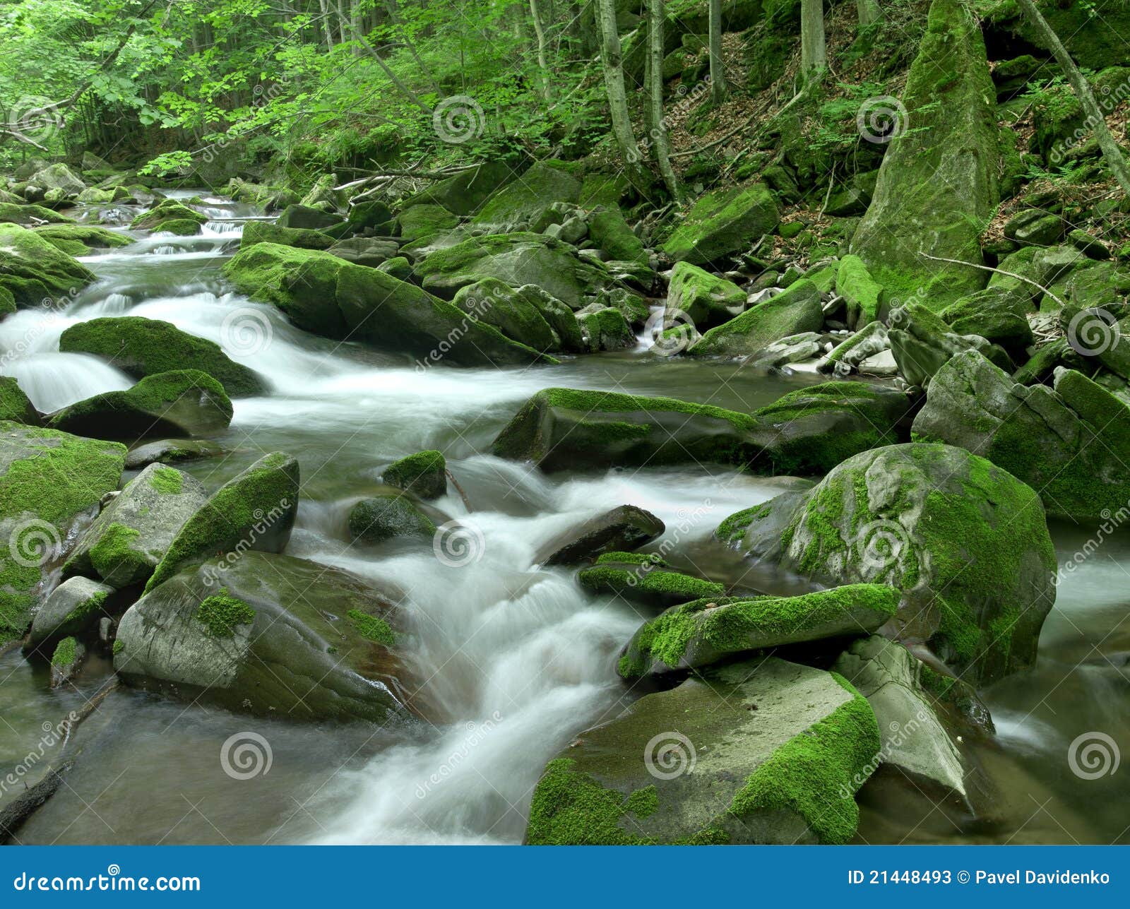 Tropical river stock image. Image of exposure, green - 21448493