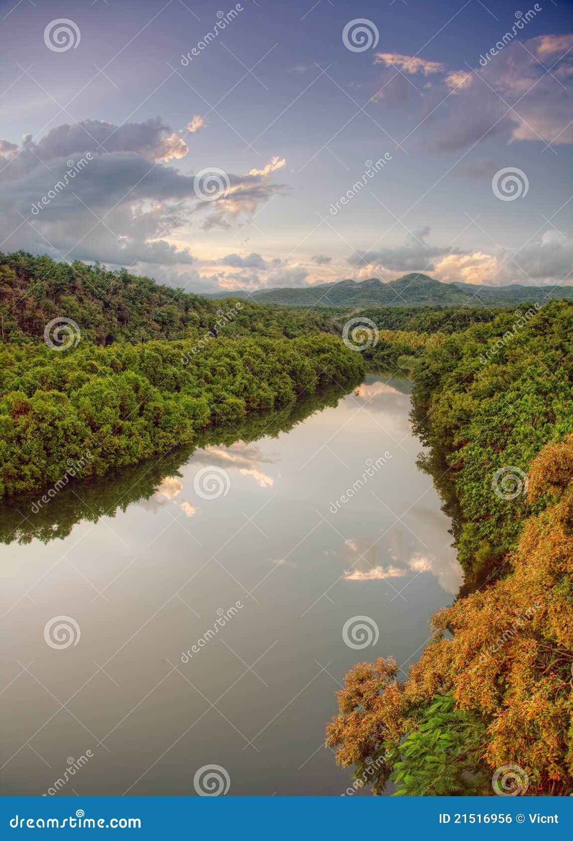 Tropical river stock photo. Image of environment, scenic - 21516956