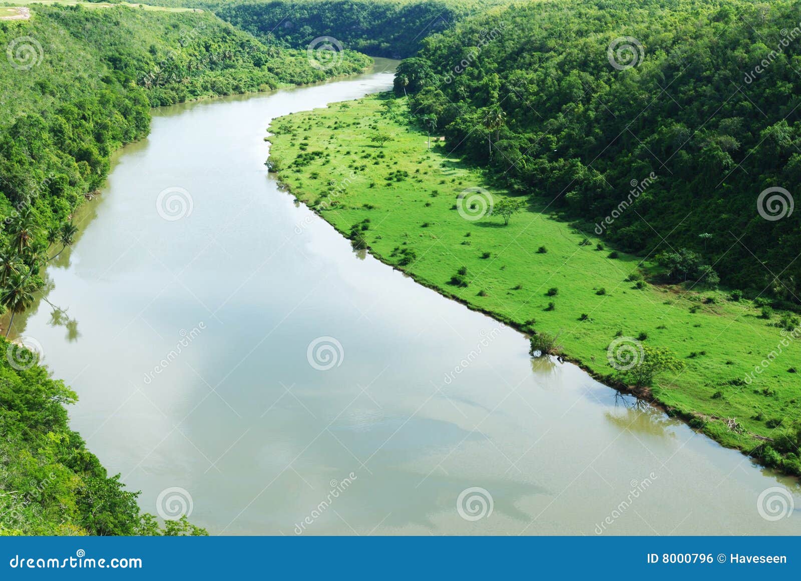 Tropical river stock photo. Image of vacations, environment - 8000796