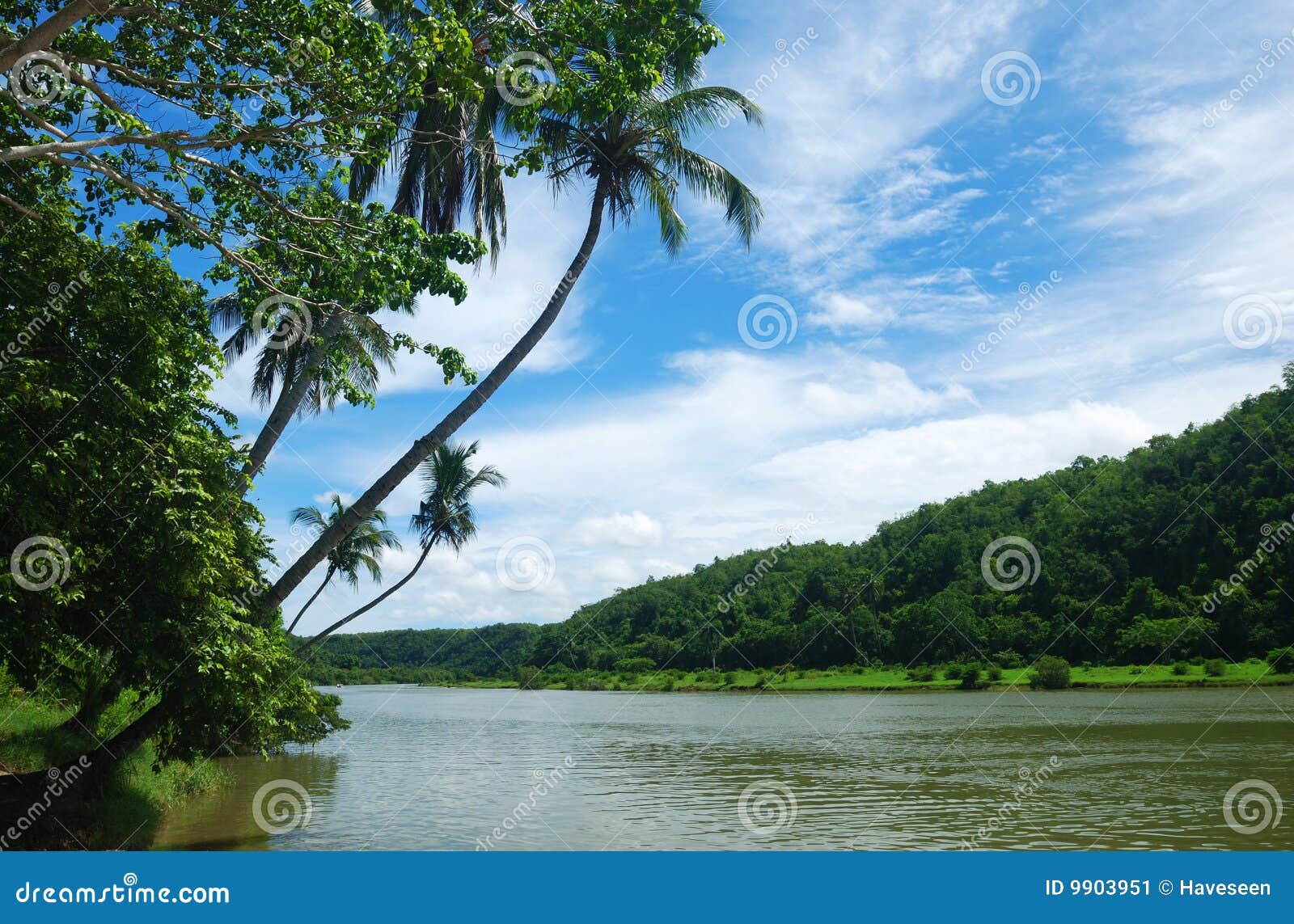 Tropical river stock image. Image of water, tranquil, river - 9903951