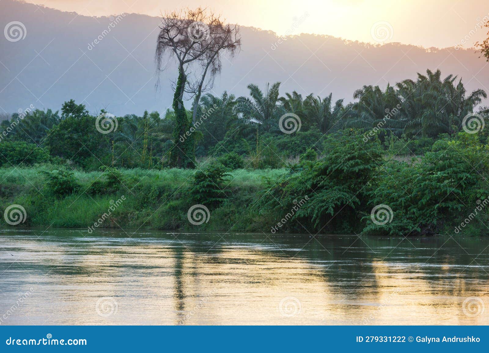 Tropical river stock photo. Image of landscapes, wilderness - 279331222