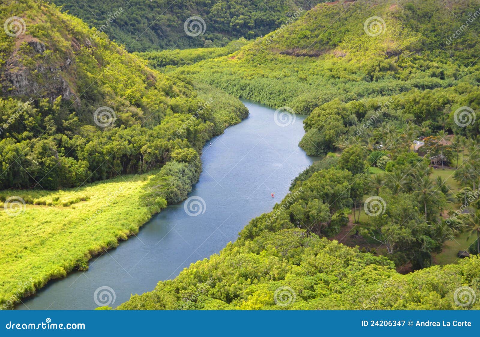 Tropical River With Palm Trees Stock Image | CartoonDealer.com #29330659