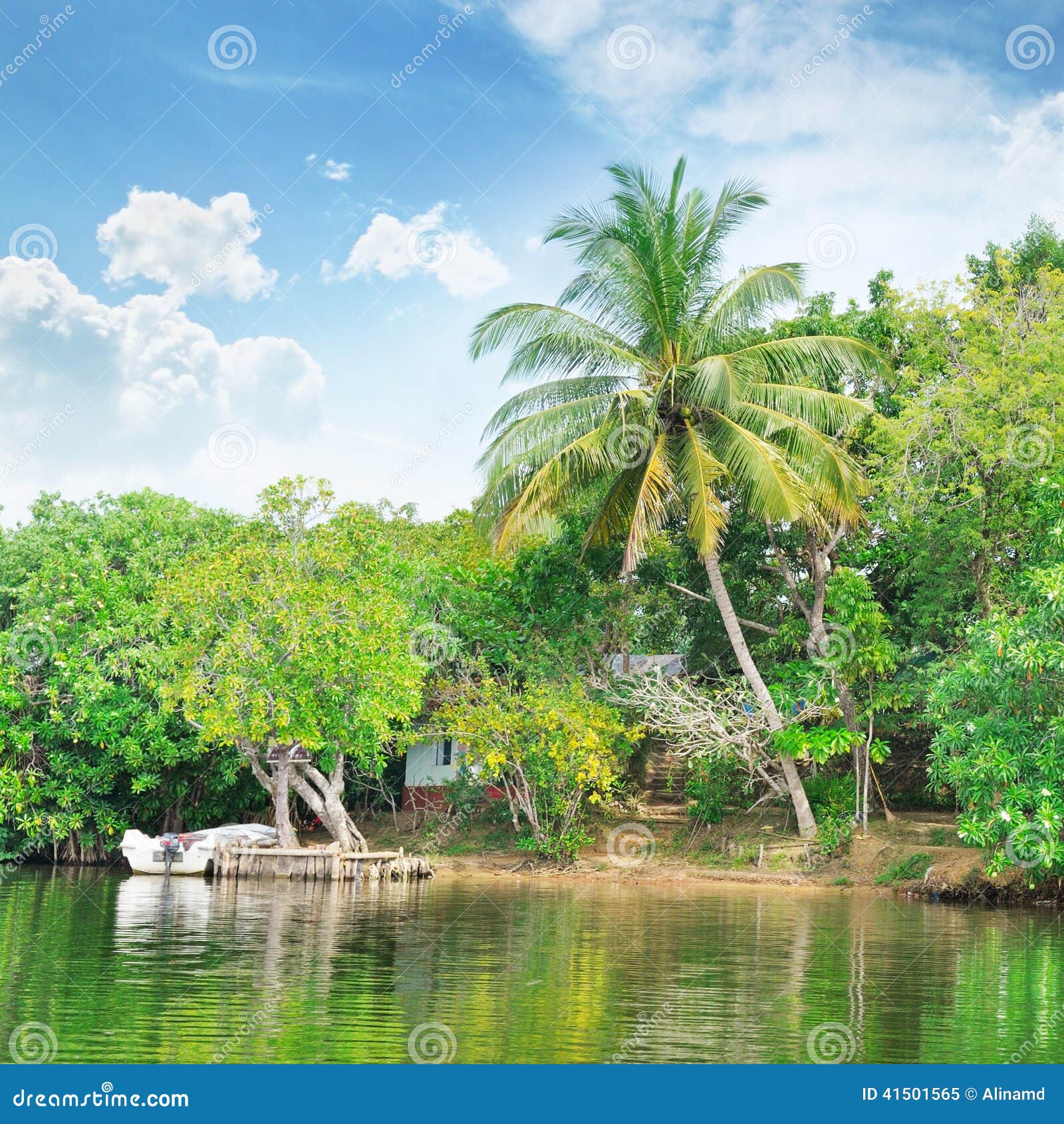 Tropical River with Palm Trees Stock Image - Image of landscape ...