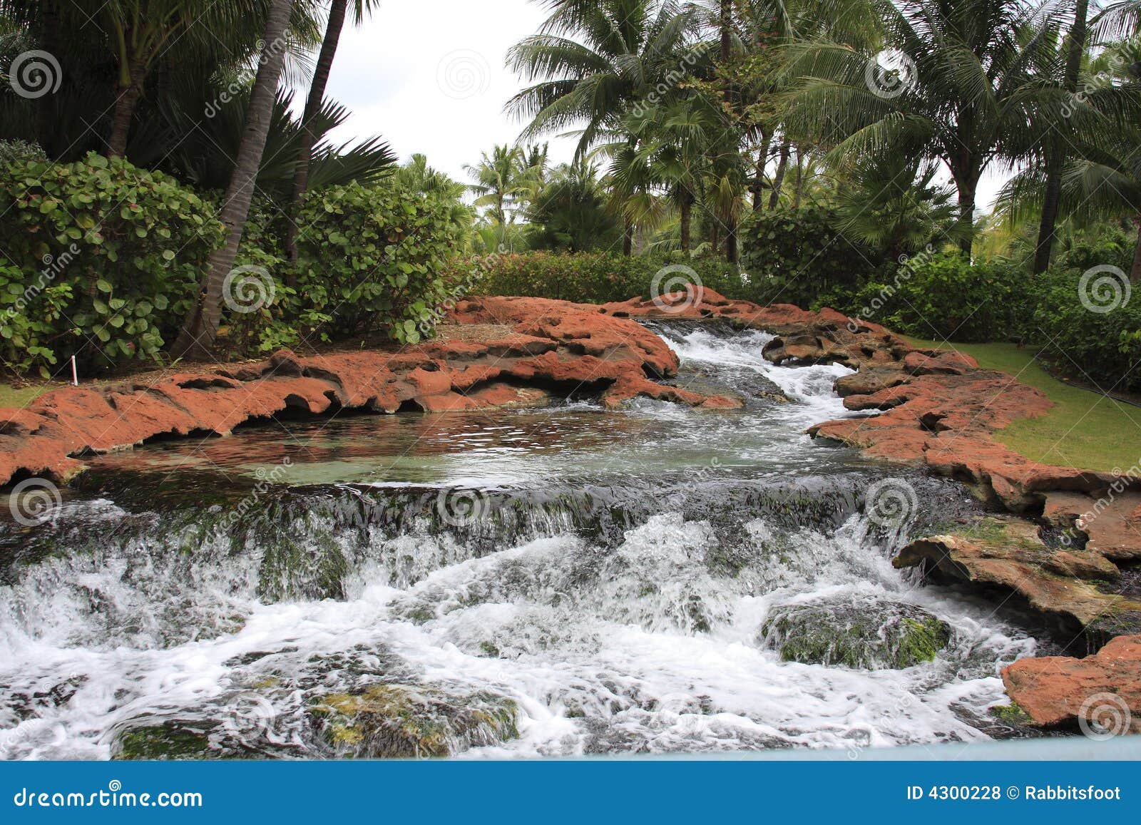 Tropical river rocks stock photo. Image of palms, river - 4300228