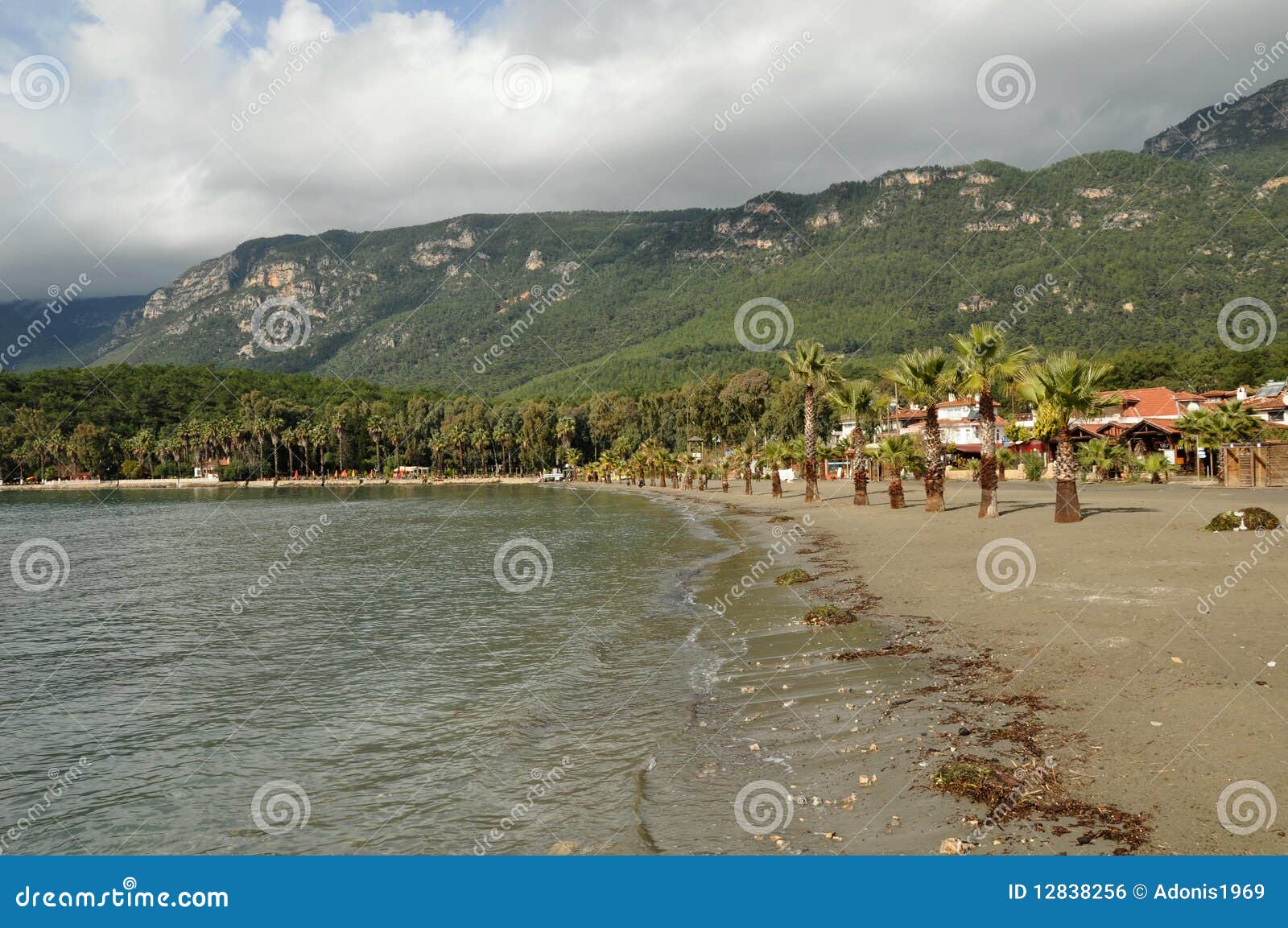 Tropical river shoreline stock photo. Image of picturesque - 12838256