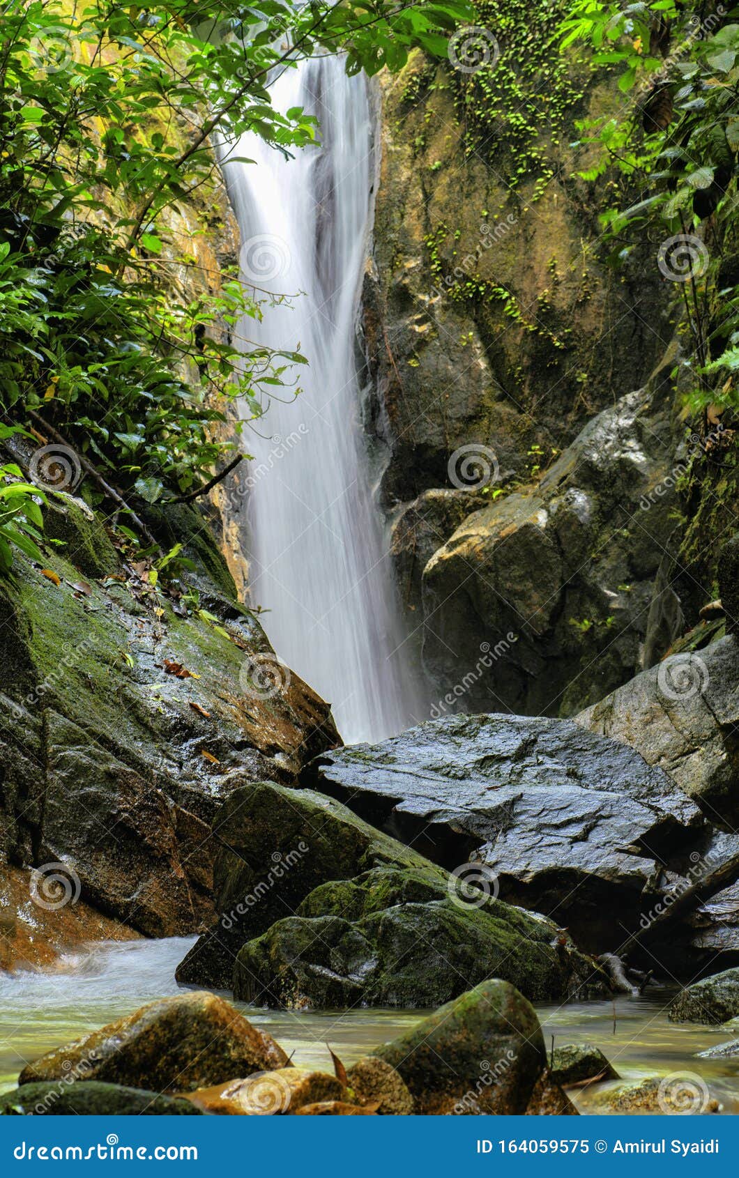 Tropical River Stream Flowing through Mossy Rock and Green Rain Forest ...