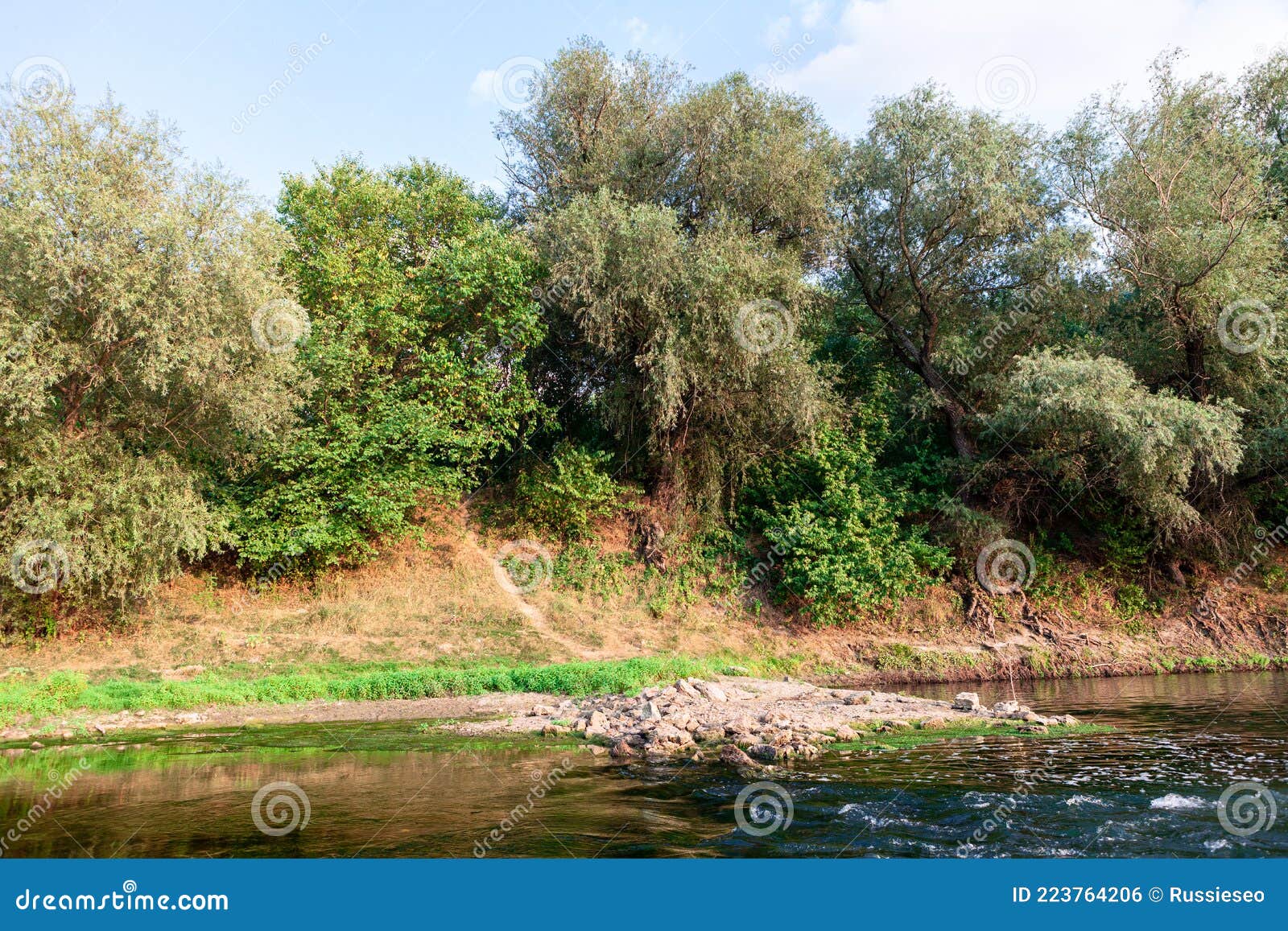 Tropical riverside stock photo. Image of growth, environment - 223764206