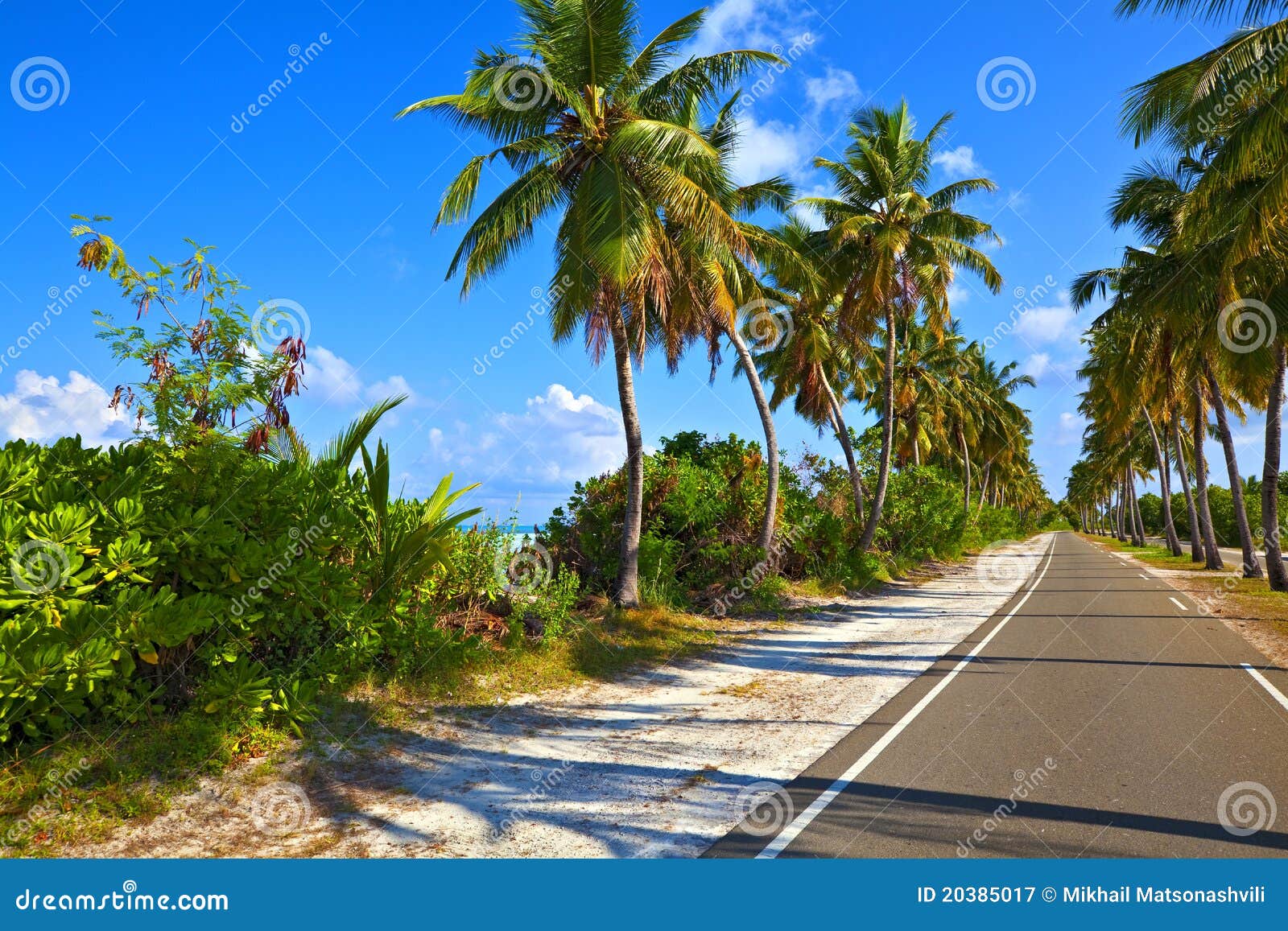 Tropical road stock image. Image of maldives, reflection - 20385017