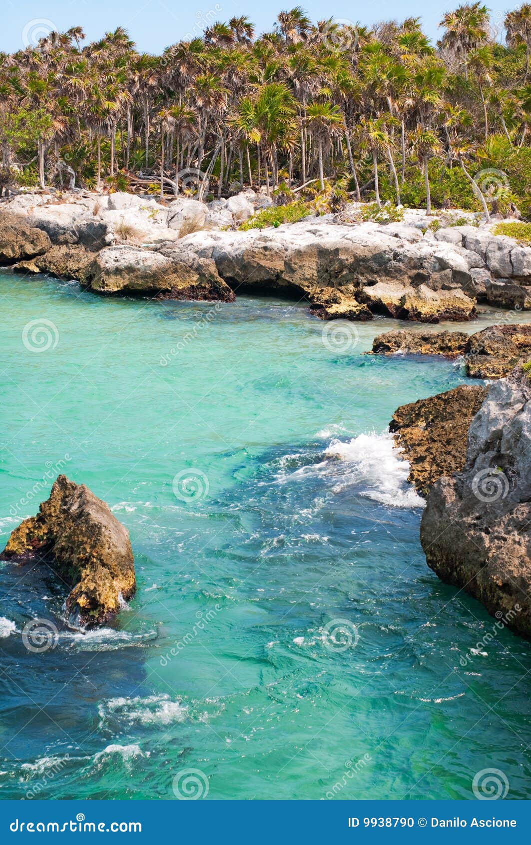 Tropical rocky coast stock photo. Image of clear, summer - 9938790