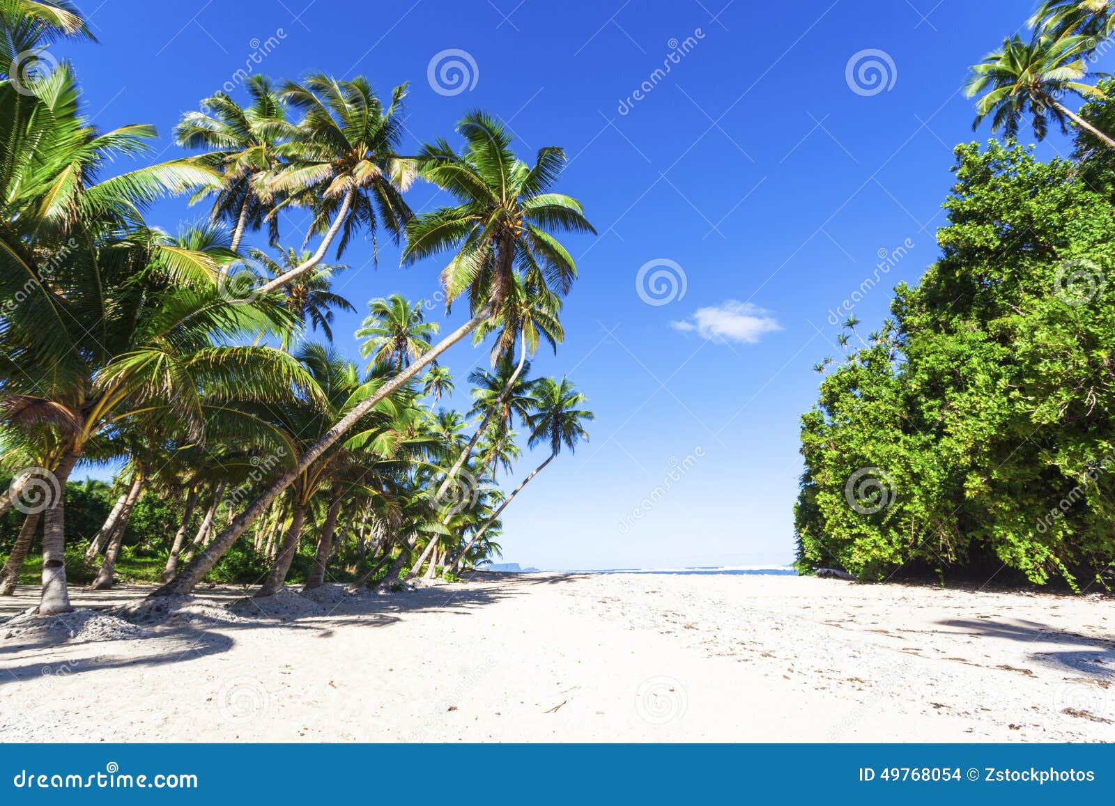 Tropical Samoa stock photo. Image of tree, sand, beautiful - 49768054