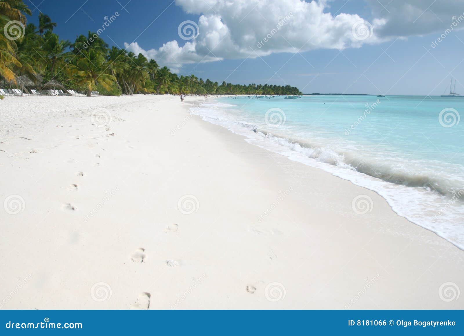 Tropical Sand Beach, Ocean stock photo. Image of dominican - 8181066