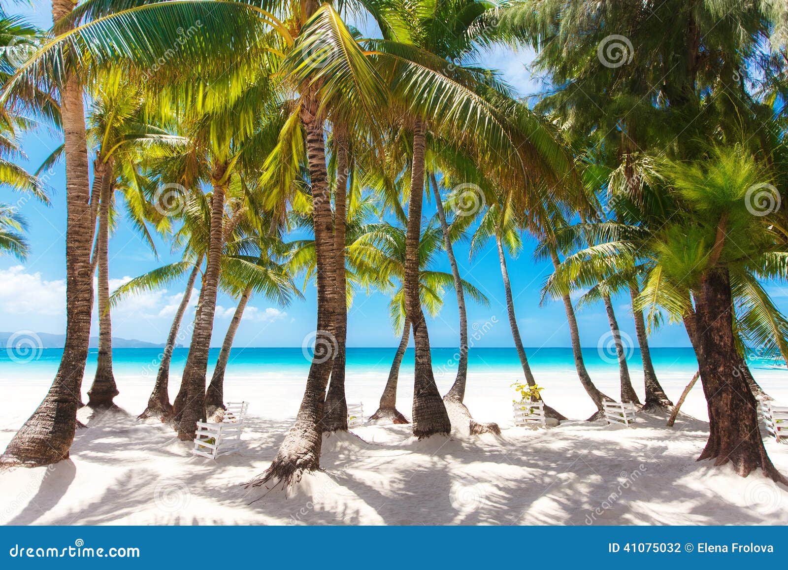 Tropical Sand Beach with Palm Trees, Summer Vacation Stock Photo ...