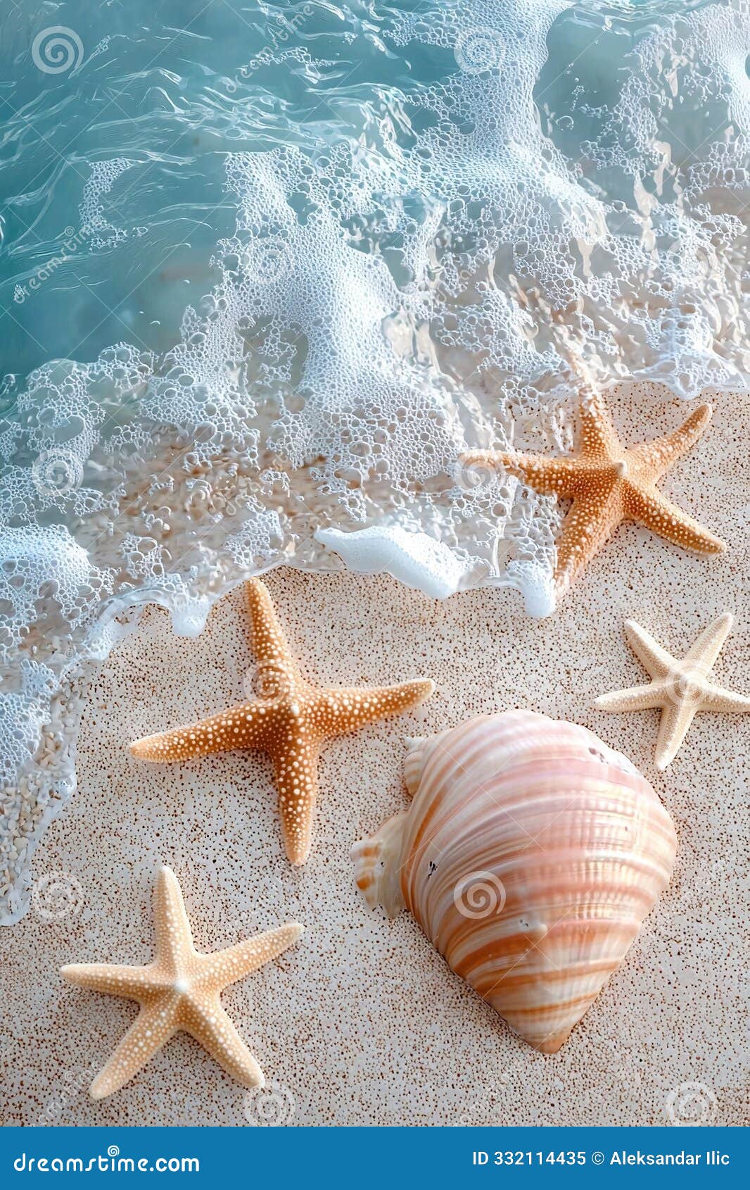 Tropical Sand Beach with Sea Shells and Starfish. Top View Composition ...