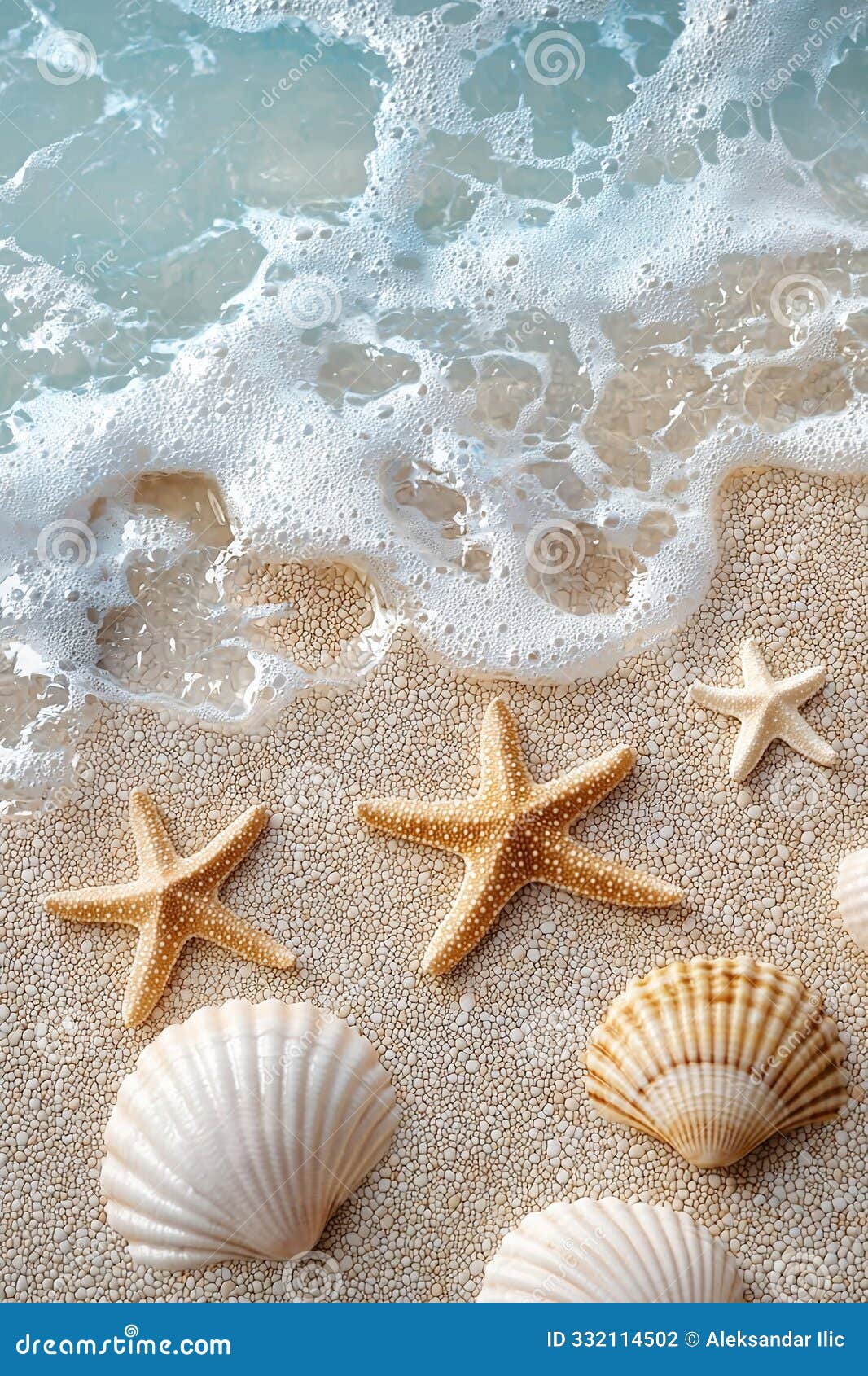 Tropical Sand Beach with Sea Shells and Starfish. Top View Composition ...