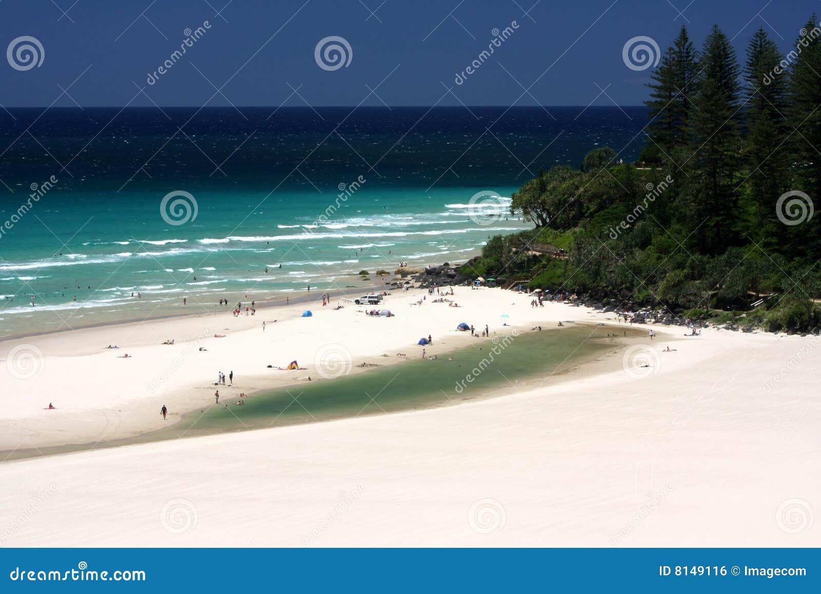 Tropical Sandy Beach with Trees Stock Photo - Image of blue, sandy: 8149116